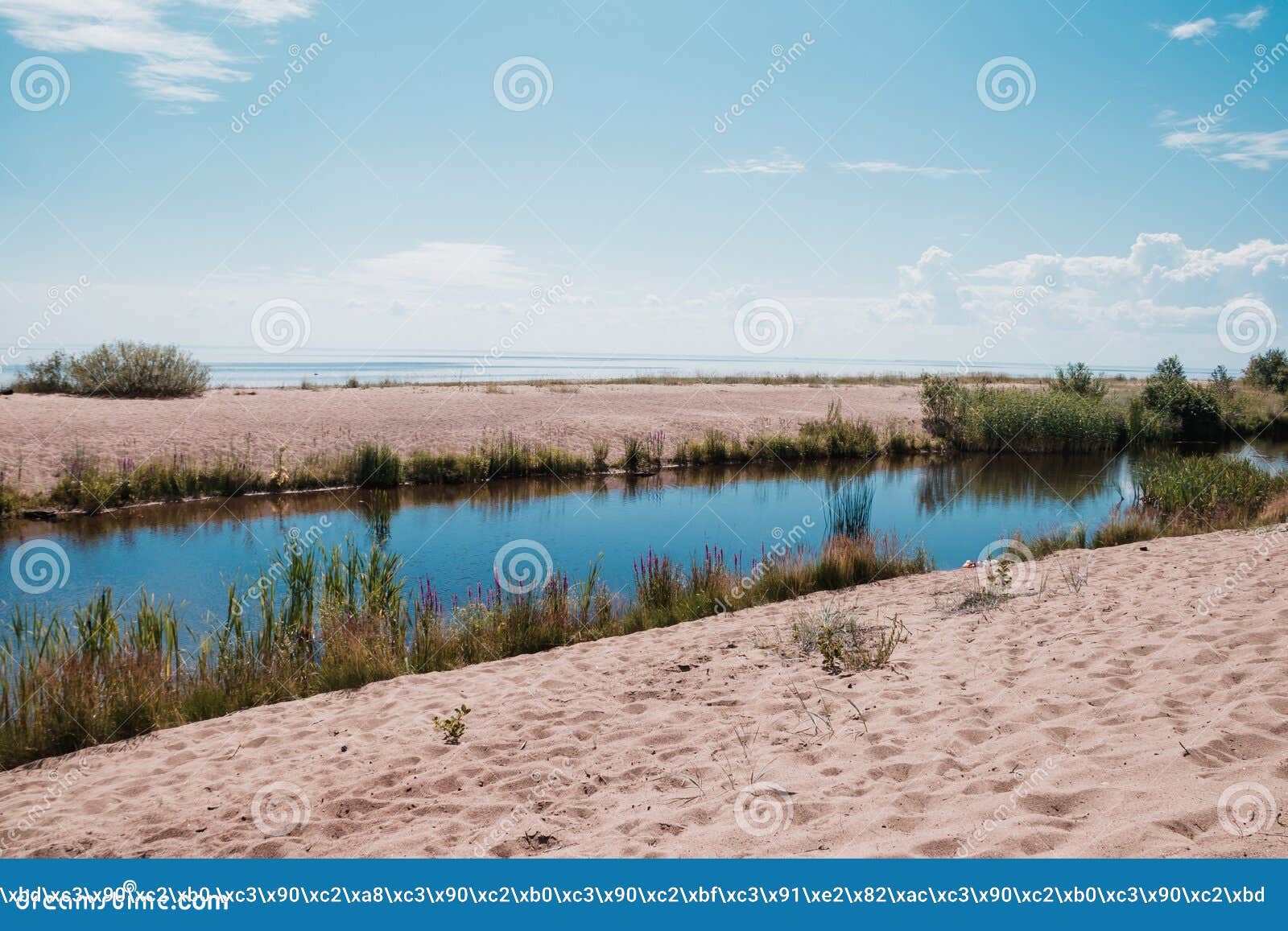 River on the Beach. River among the Sands Stock Image - Image of spain ...
