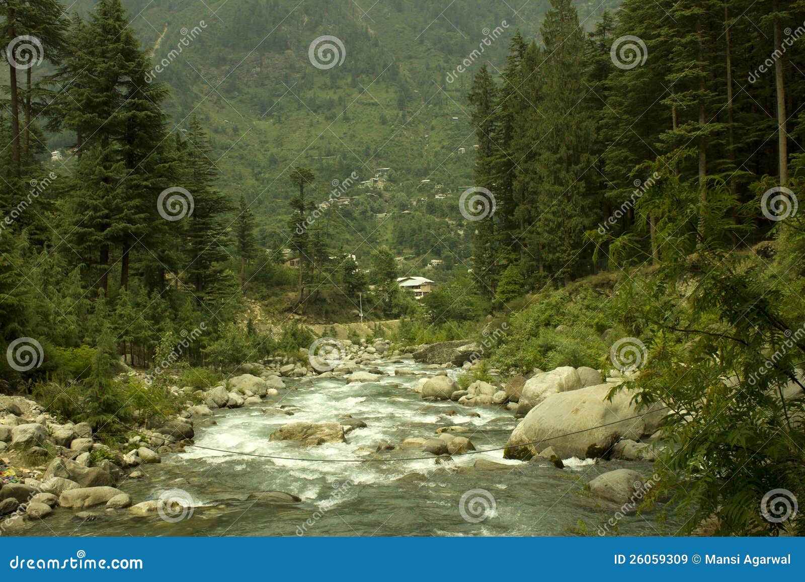 River Beas, Manali, Himachal Pradesh Stock Image - Image of green ...