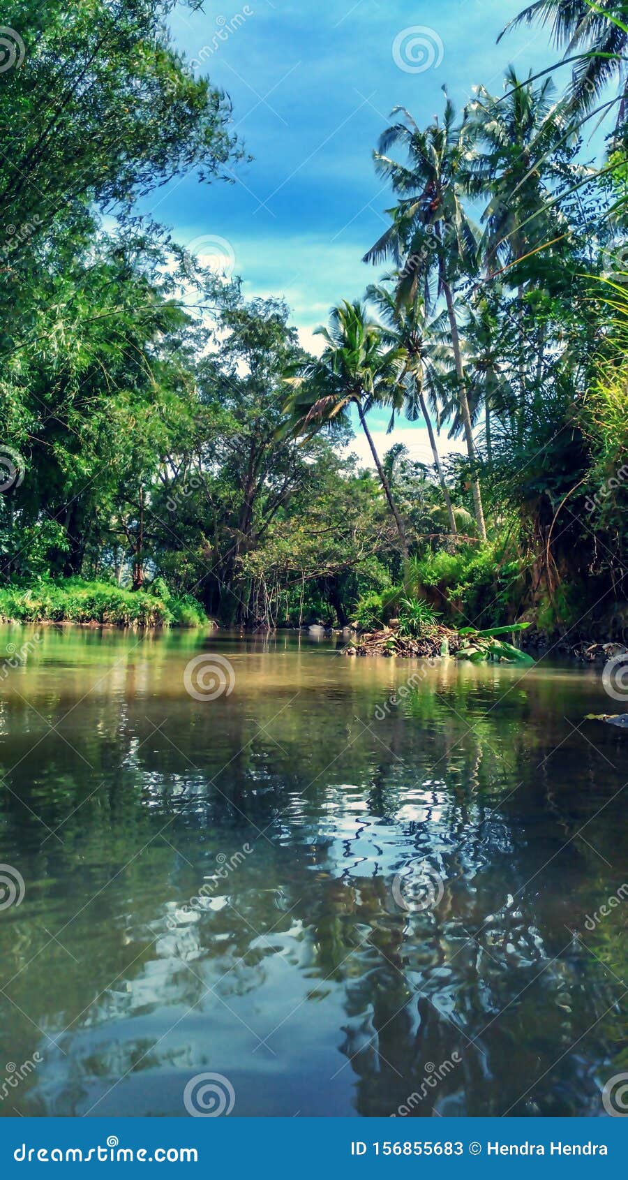 The River is Beautiful with Thick Trees Growing Along the River Bank ...
