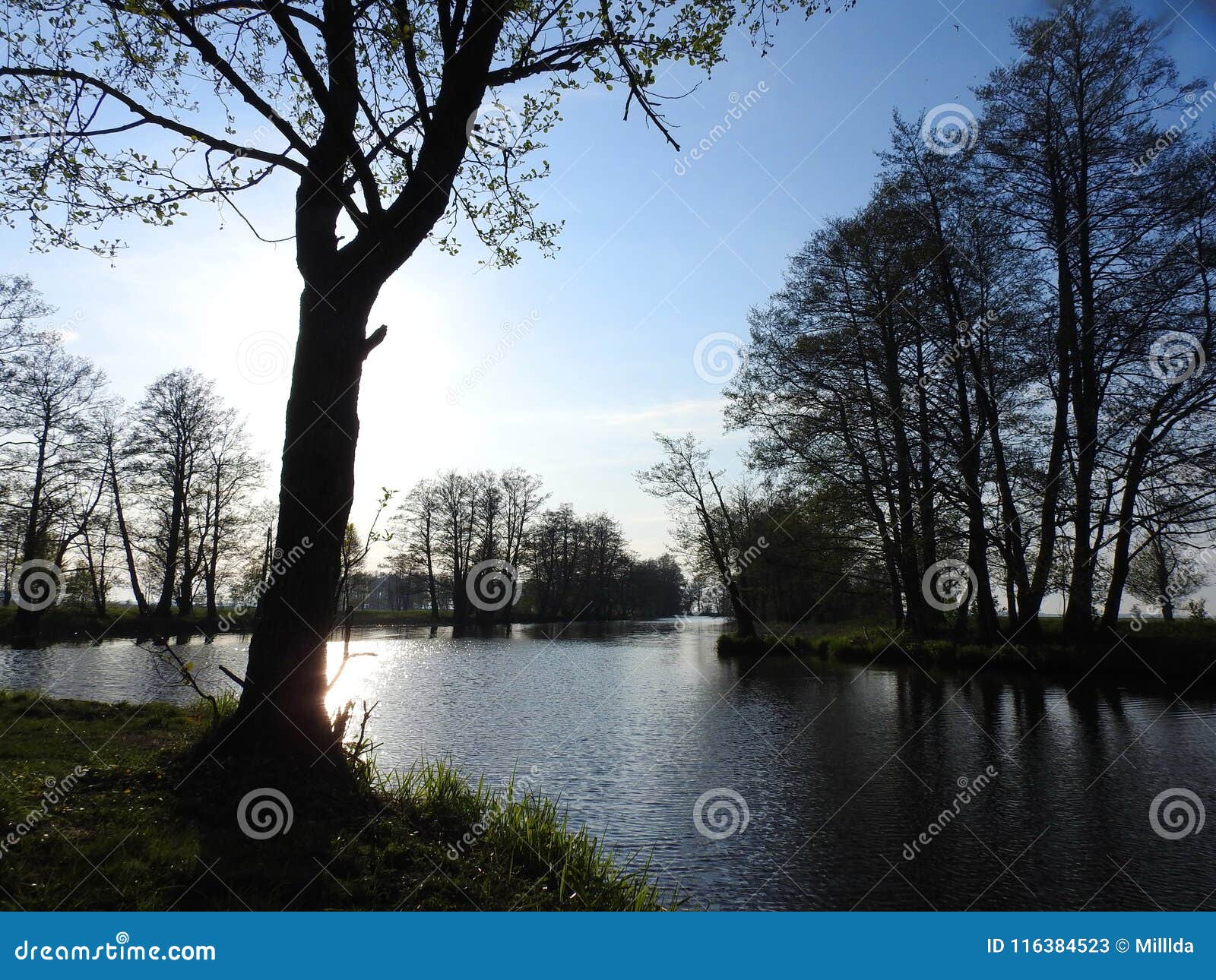 River and Beautiful Trees, Lithuania Stock Image - Image of nature ...