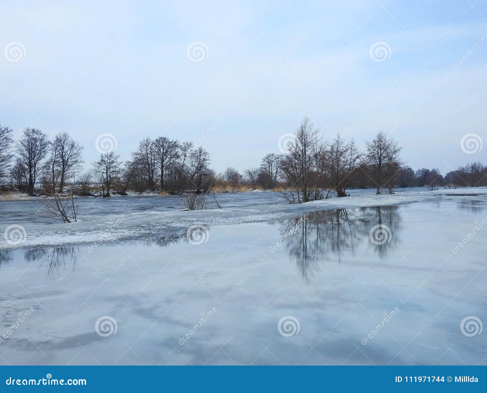 River Minija and Nice Trees in Spring , Lithuania Stock Photo - Image ...