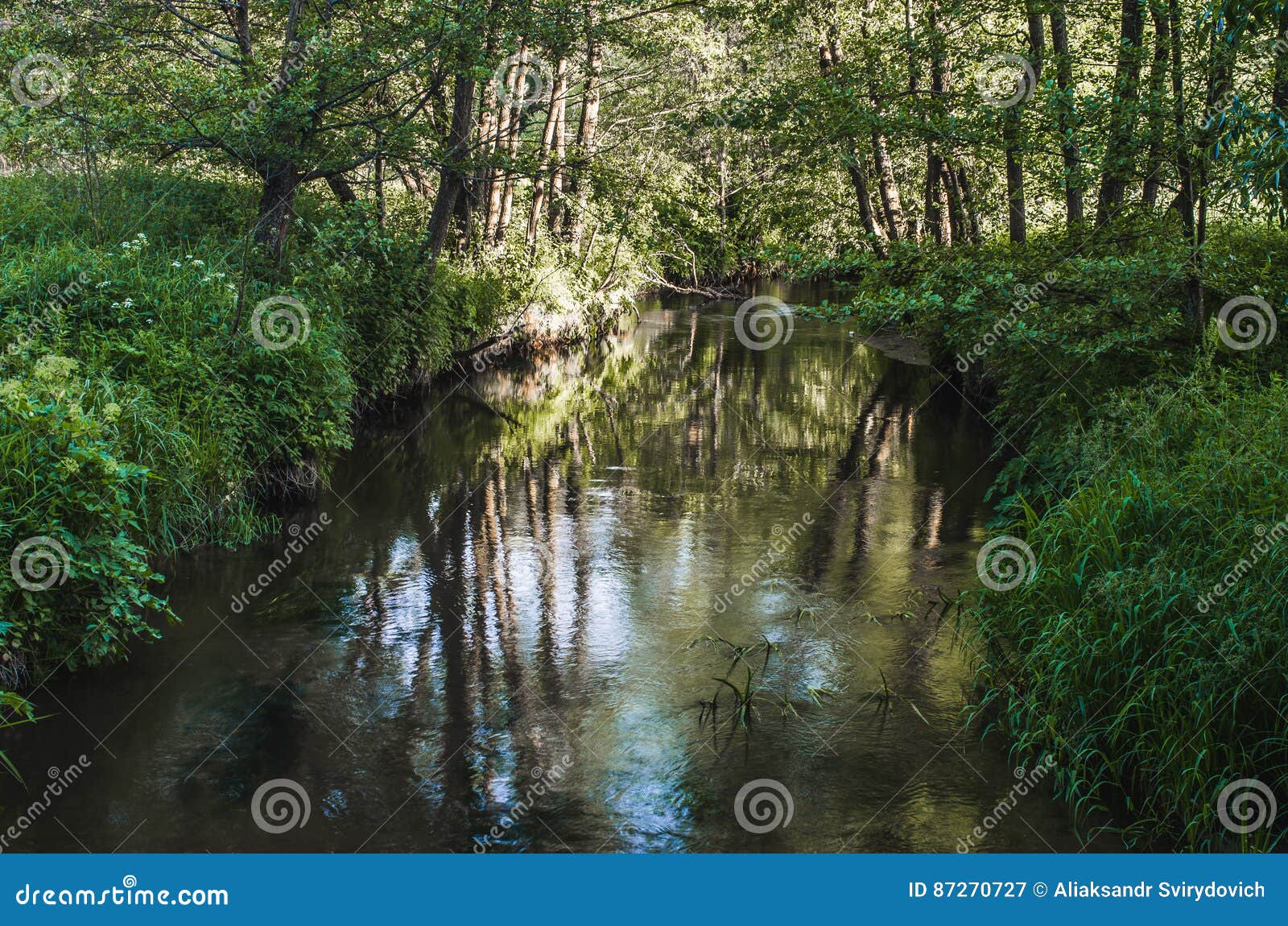 River in Belarussian Forest Stock Image - Image of travel, river: 87270727
