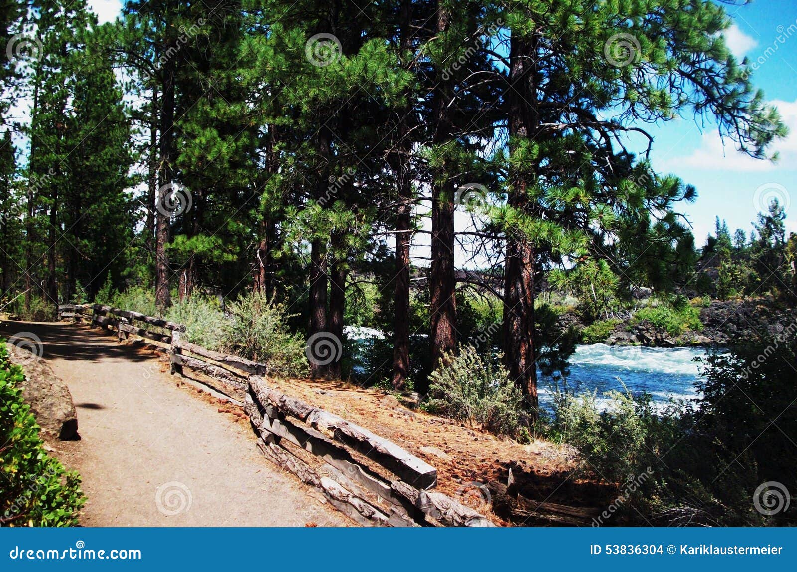 River in Bend Oregon stock photo. Image of quiet, growth - 53836304