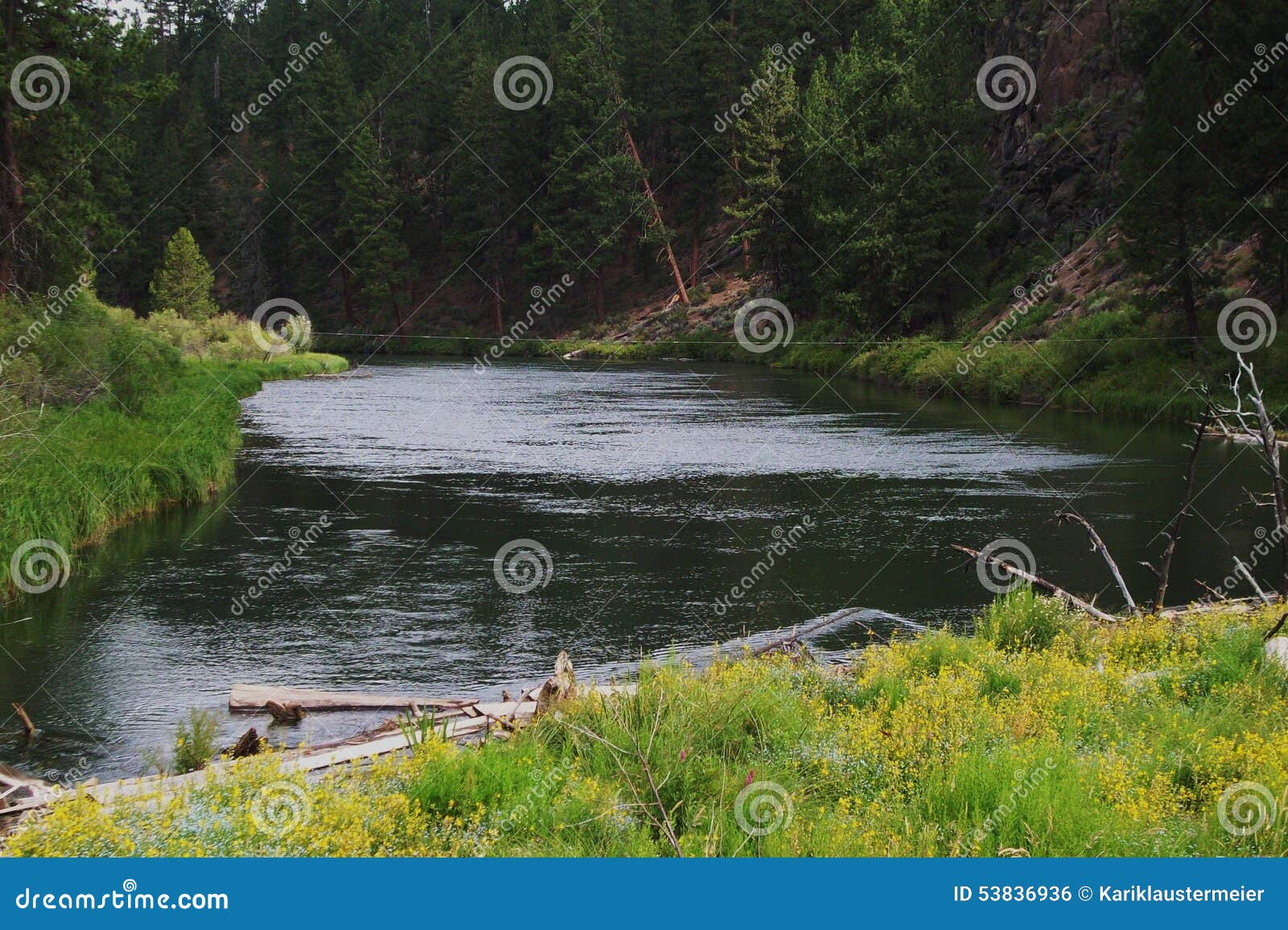 River in Bend Oregon stock photo. Image of fall, calm - 53836936