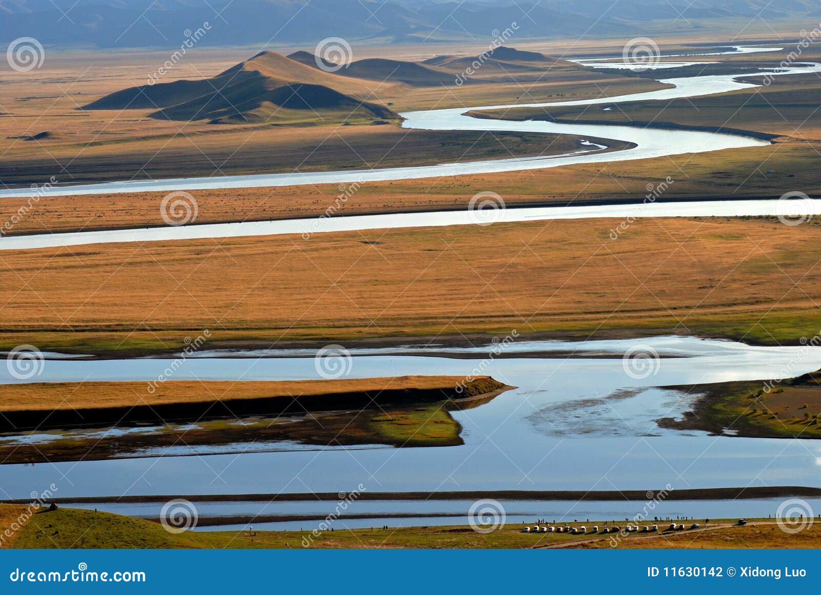 River bends stock photo. Image of seasonal, grass, landscape - 11630142