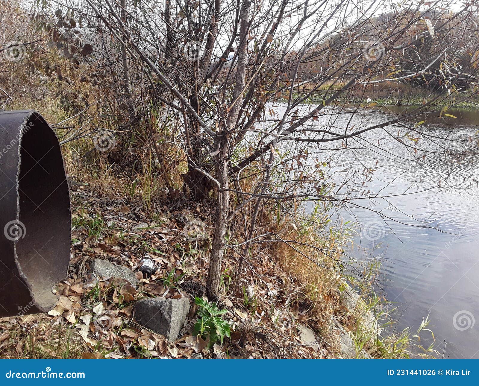 Runoff on the river coast stock photo. Image of coast - 231441026