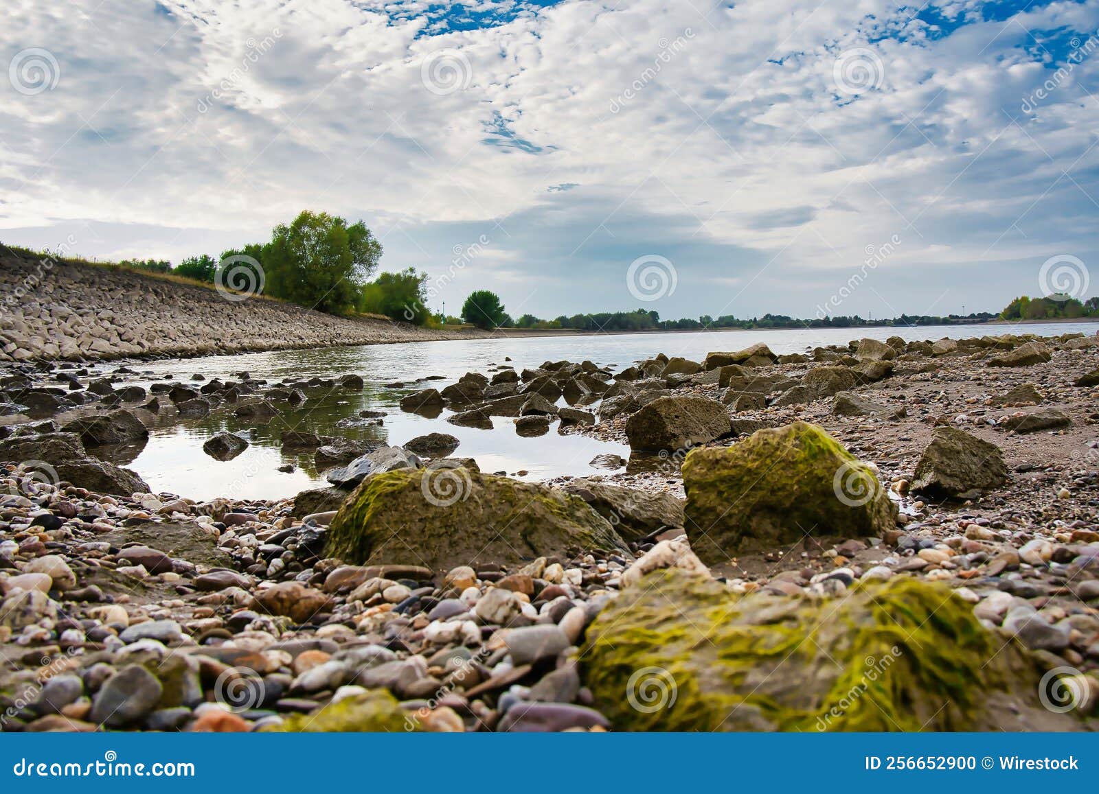 River with Big Rocks Covered with Moss Stock Photo - Image of tree ...