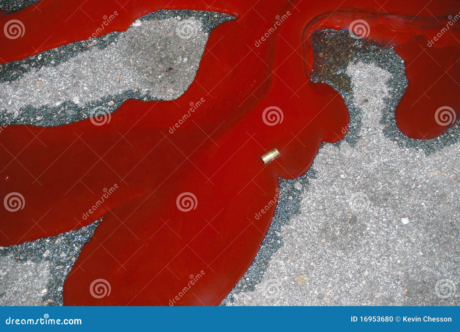 River of blood stock photo. Image of shell, bleed, body - 16953680
