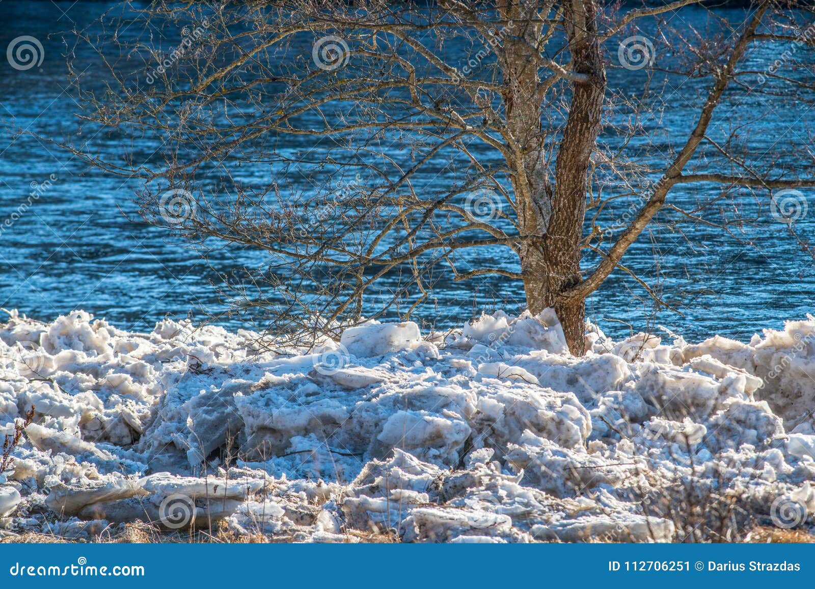 River blue water and tree stock image. Image of winter - 112706251