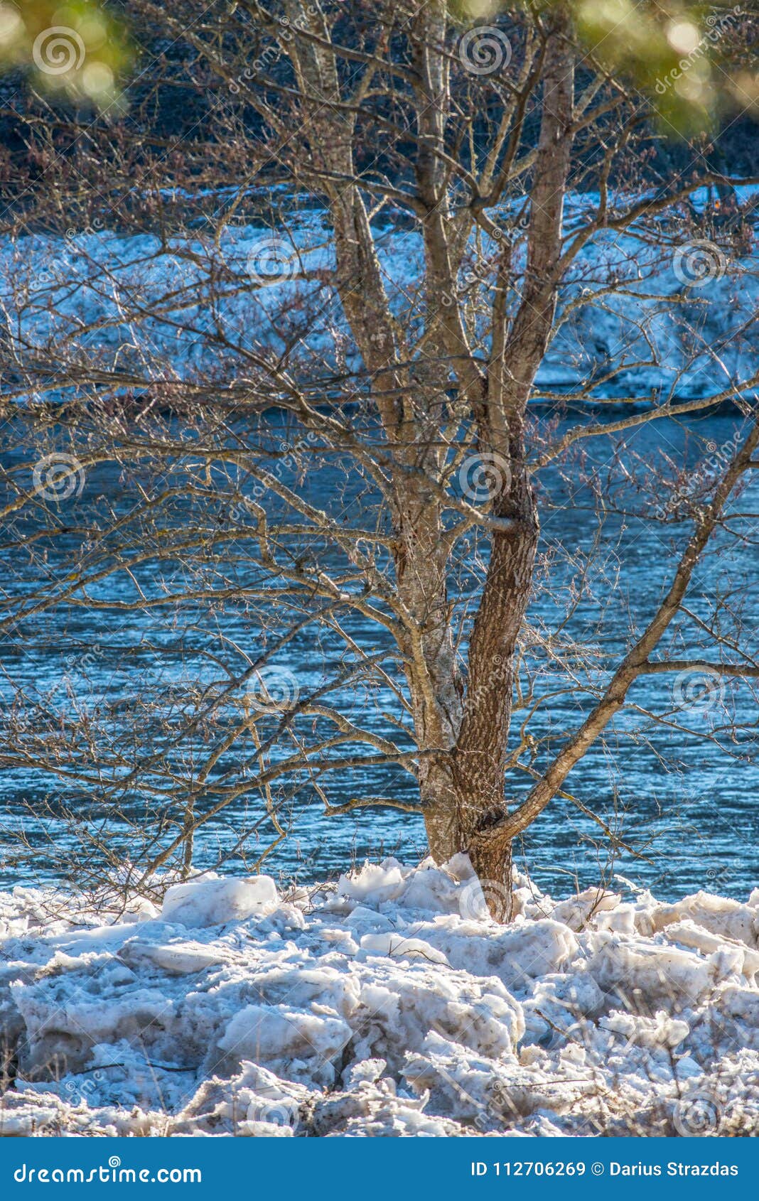 River blue water and tree stock image. Image of scenic - 112706269