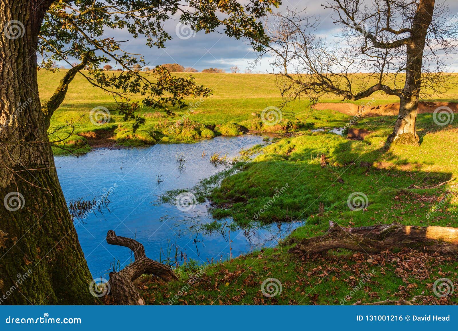 River Blyth Flows through Farmland Stock Photo - Image of northern ...