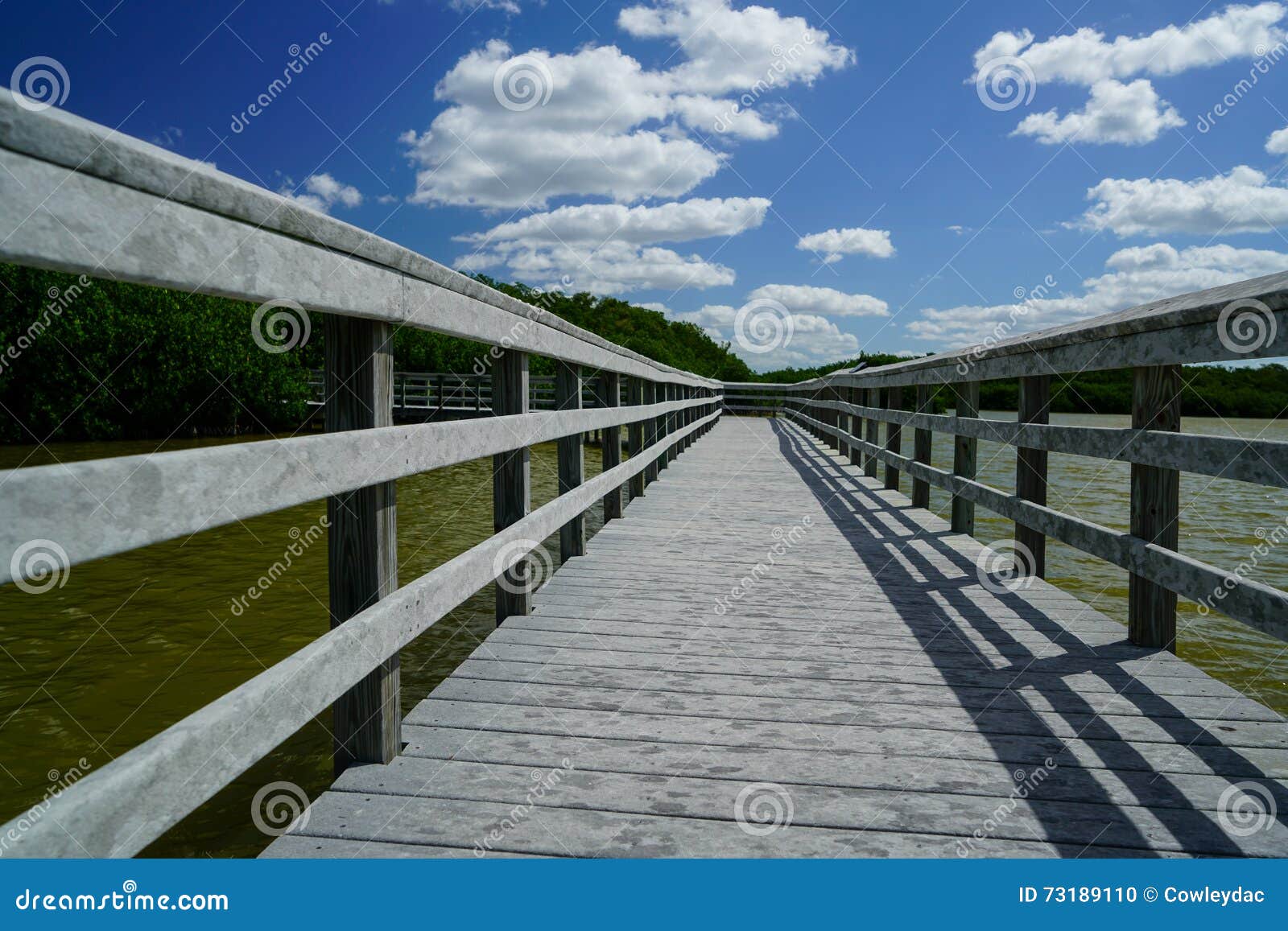 River Boardwalk Under Blue Sky Stock Photo - Image of lake, river: 73189110