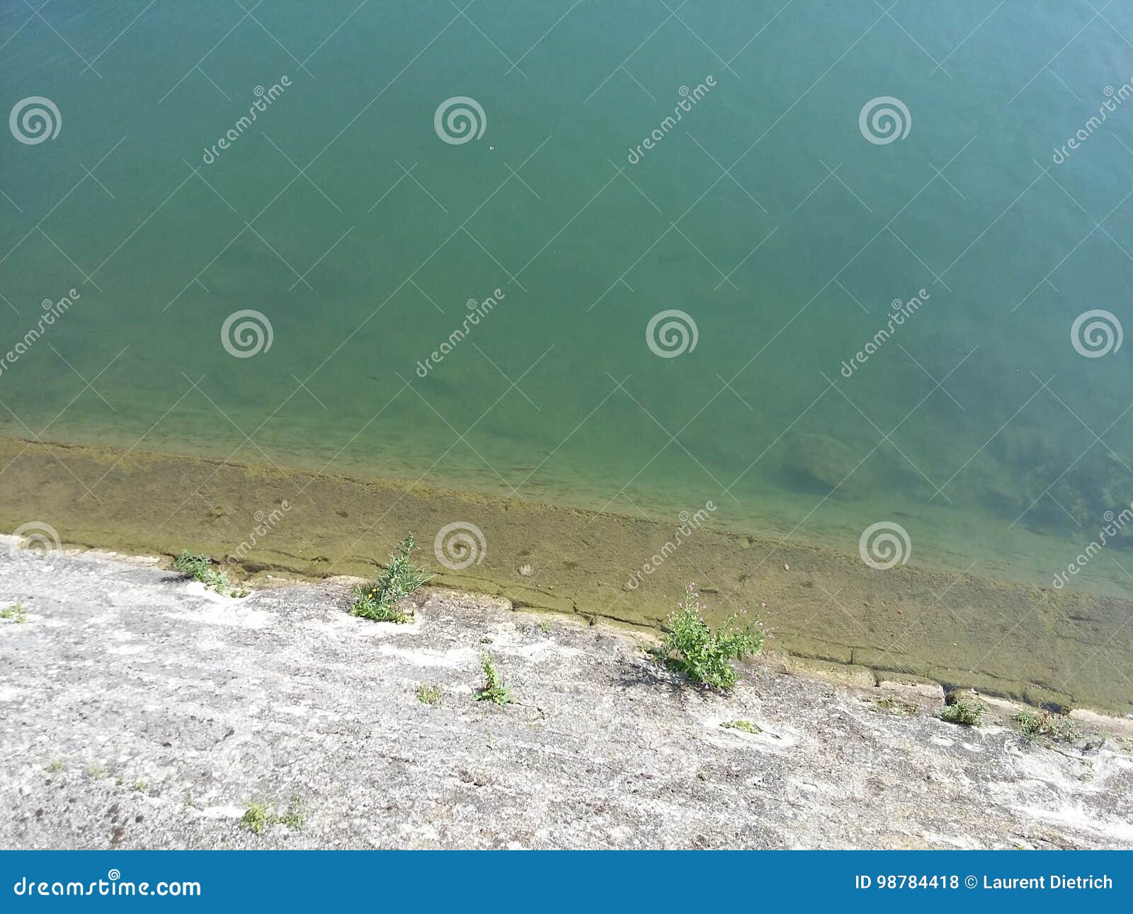 River border stock photo. Image of border, france, nature - 98784418