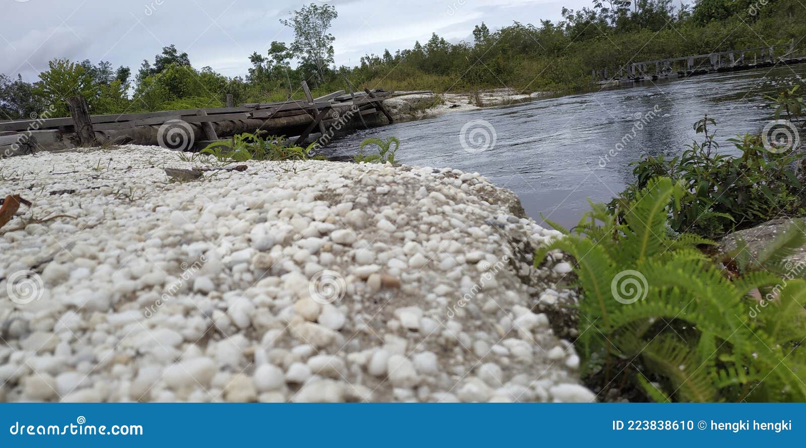 River in Borneo stock photo. Image of shore, pond, rock - 223838610