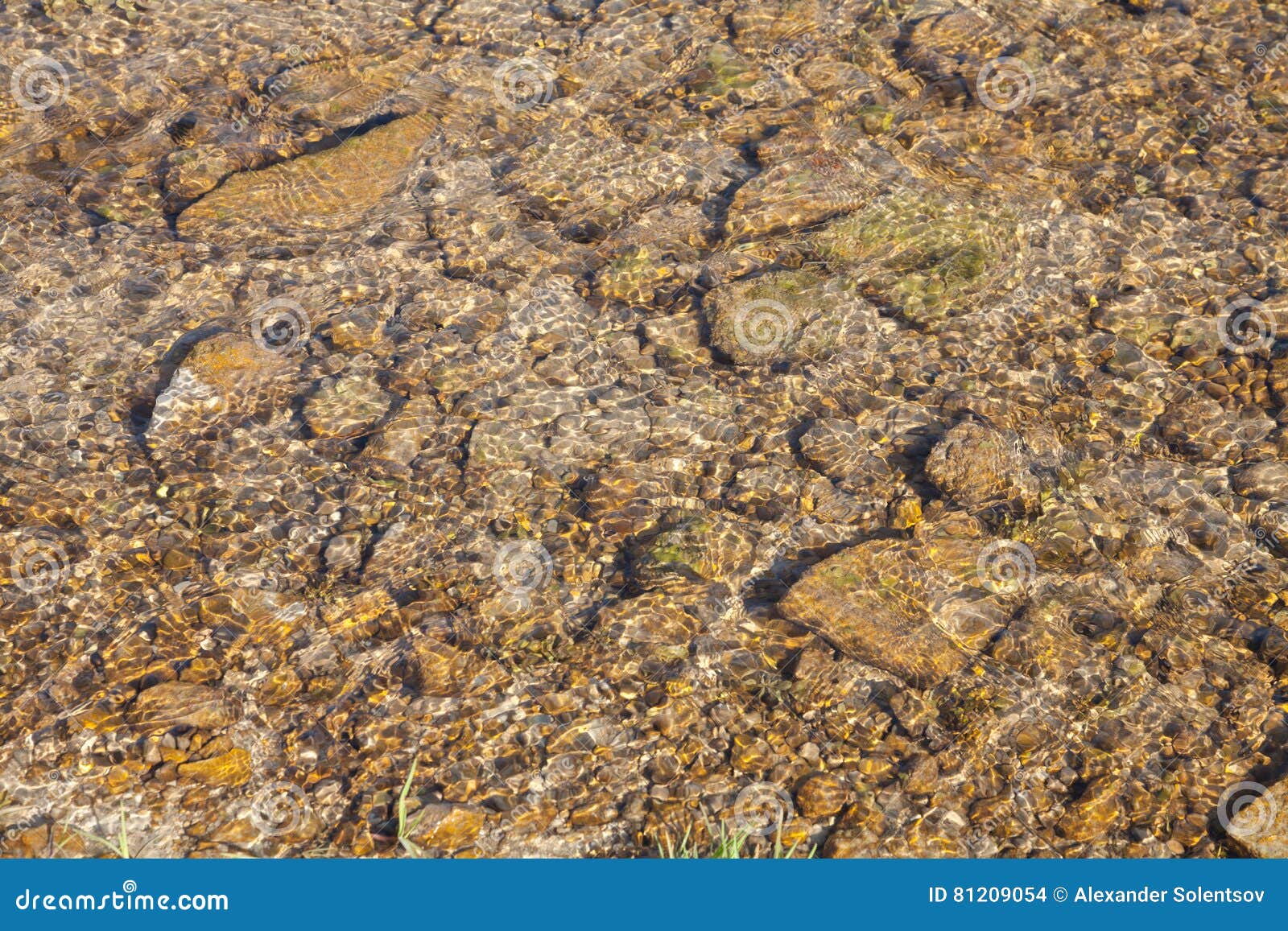 River bottom stock photo. Image of stone, flowing, clean - 81209054