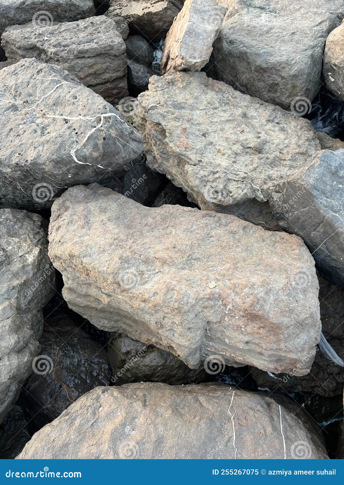 River boulder stone stock image. Image of boulder, landscape - 255267075