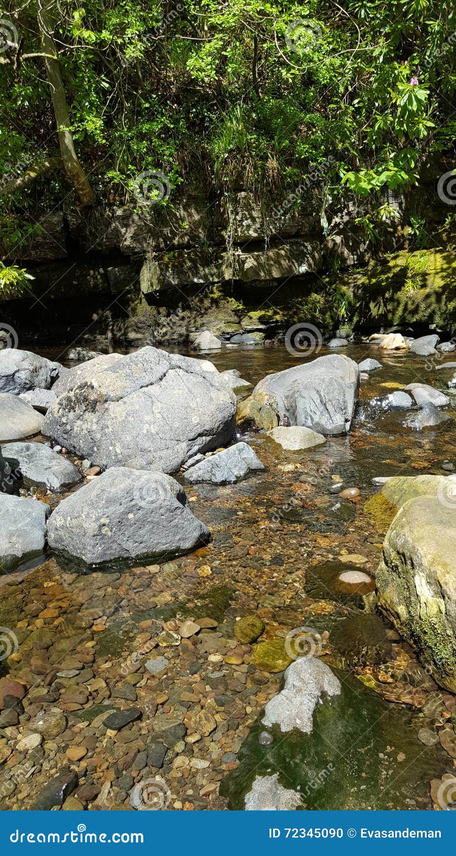 River boulders stock photo. Image of water, nature, clear - 72345090