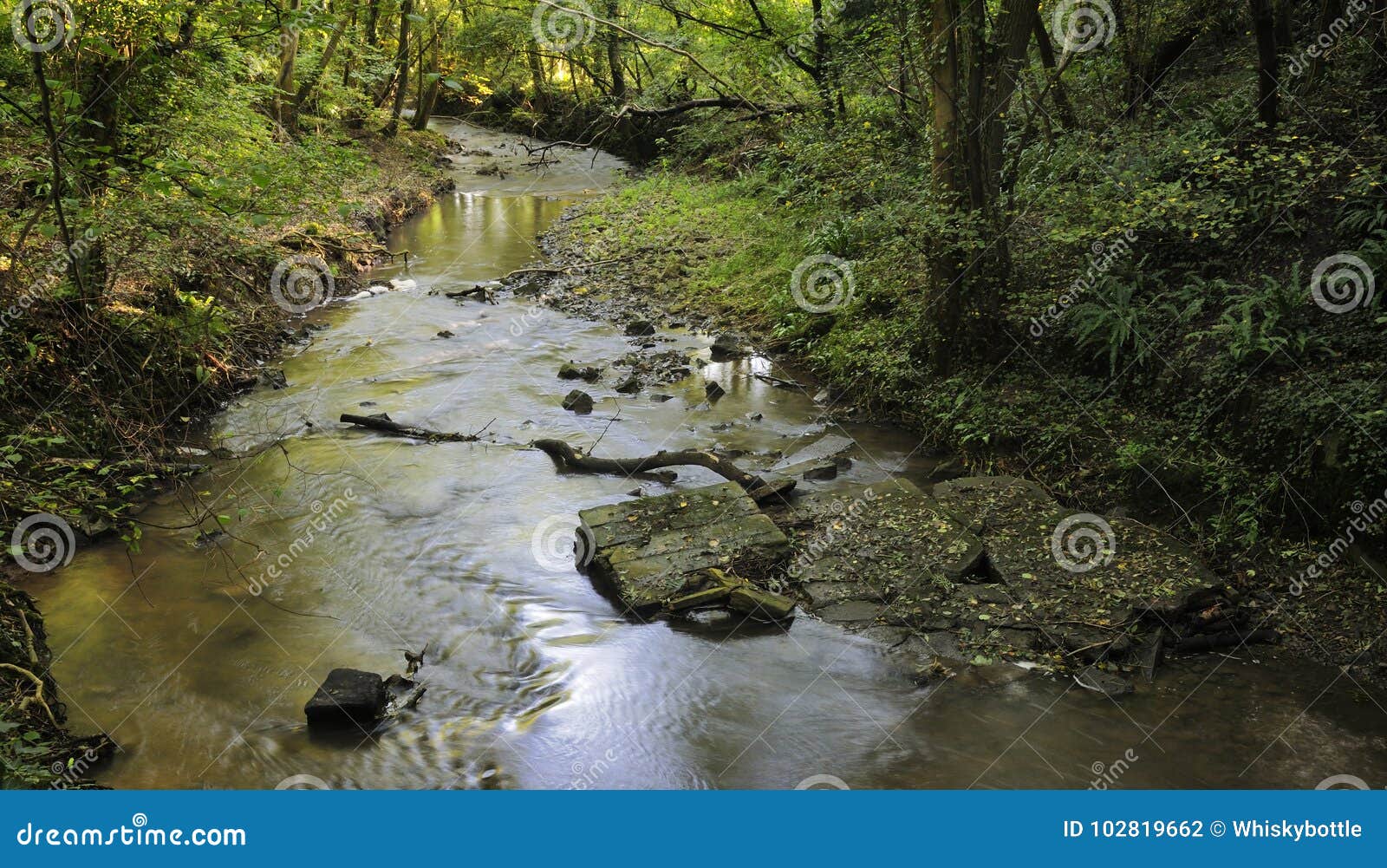 River Boyd stock photo. Image of summer, reflection - 102819662