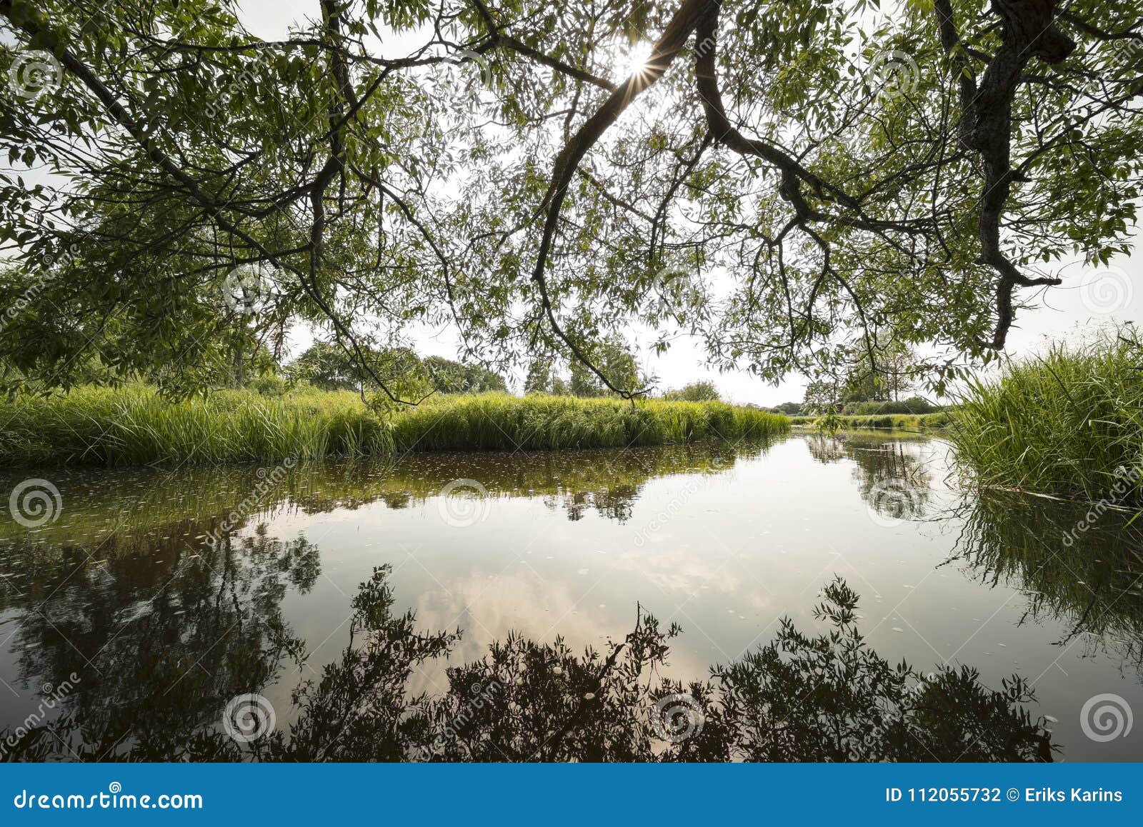 River and Branches of Tree Hanging Over Water Stock Photo - Image of ...