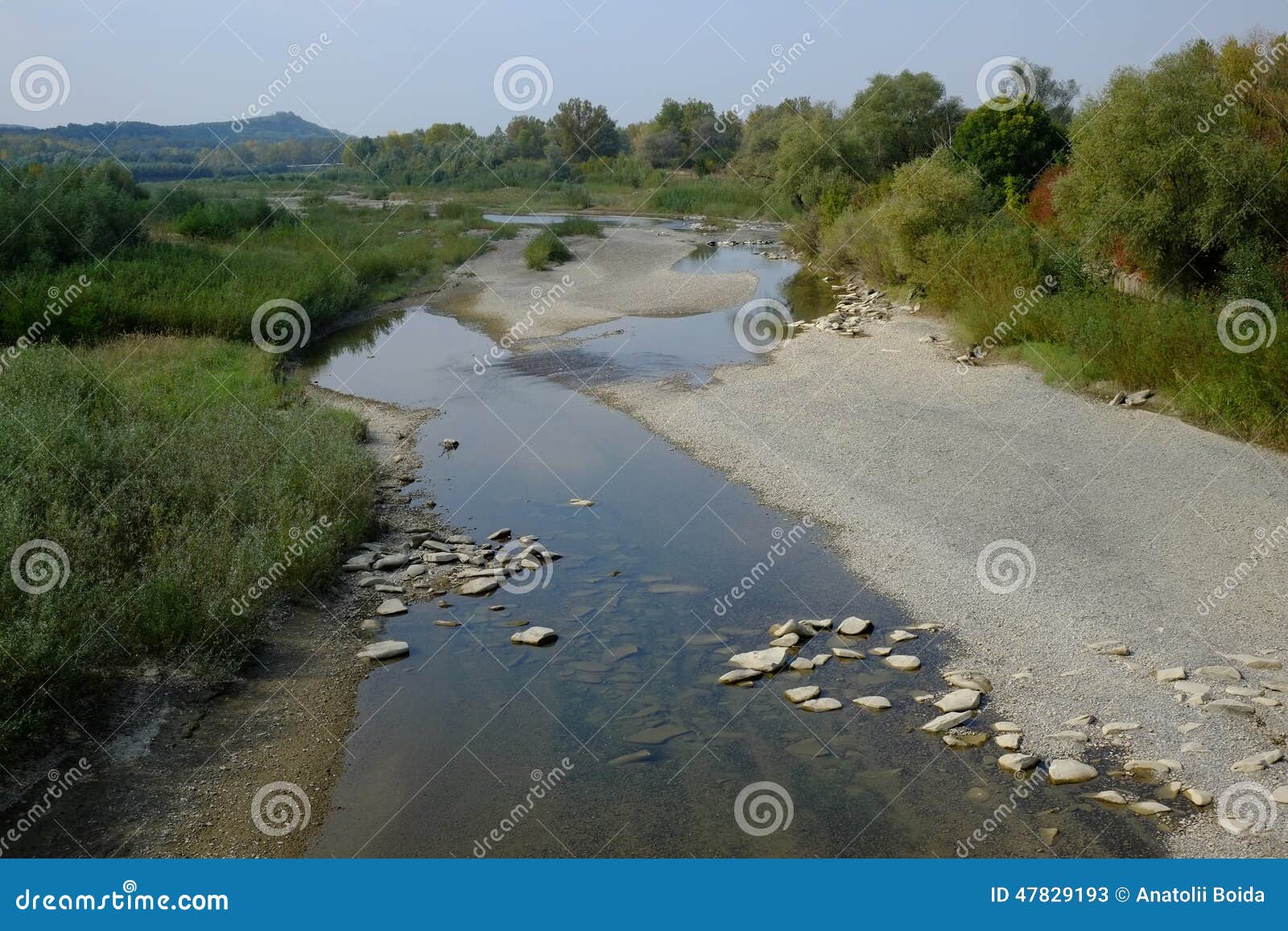 River branching stock image. Image of tree, utah, valley - 47829193