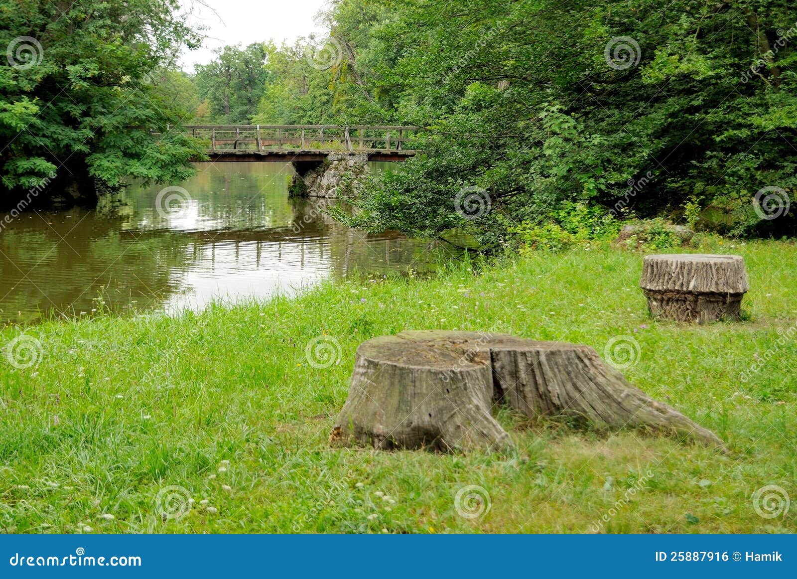 River and bridge stock photo. Image of stump, rural, pond - 25887916