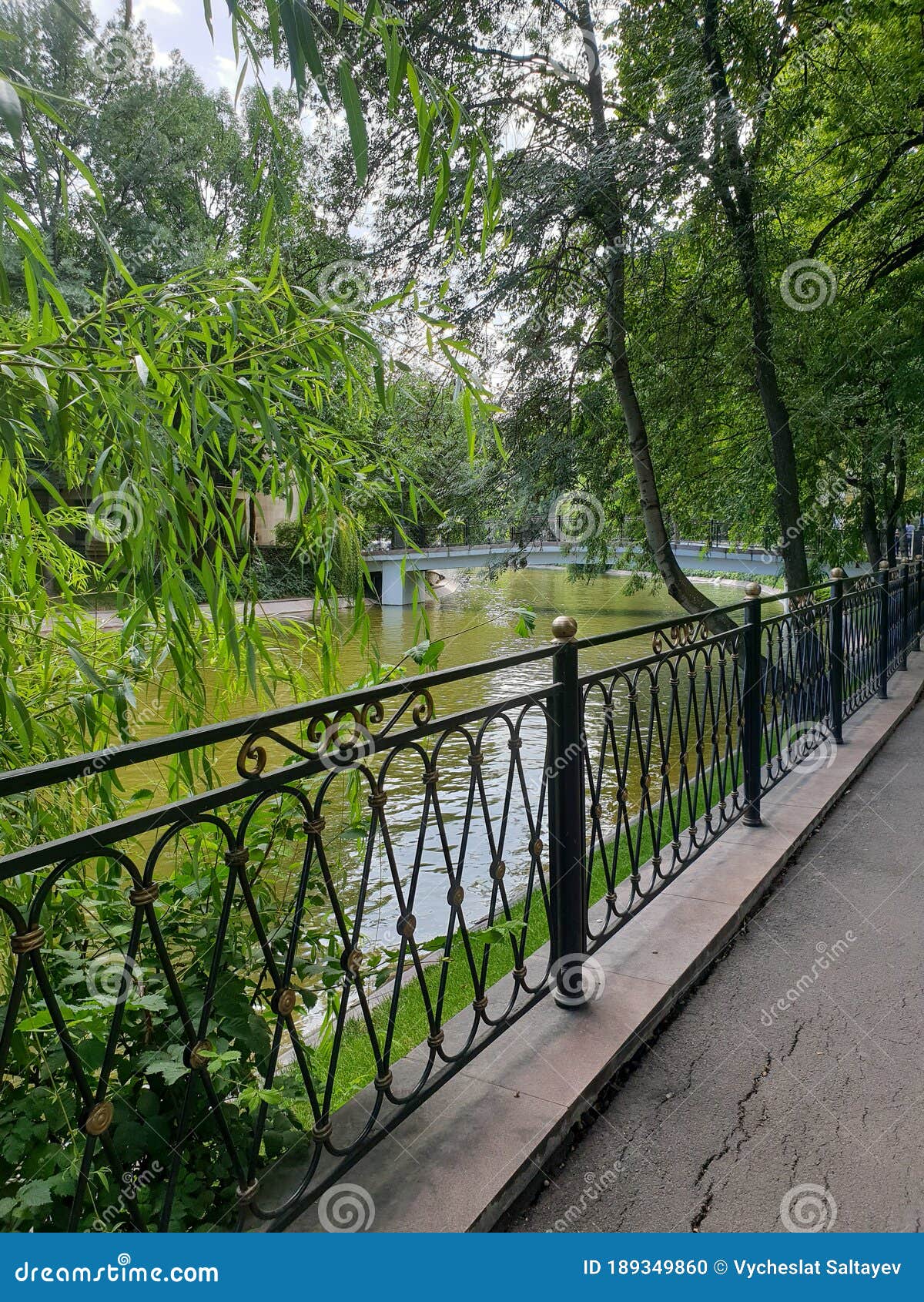 River bridge fence trees stock photo. Image of construction - 189349860
