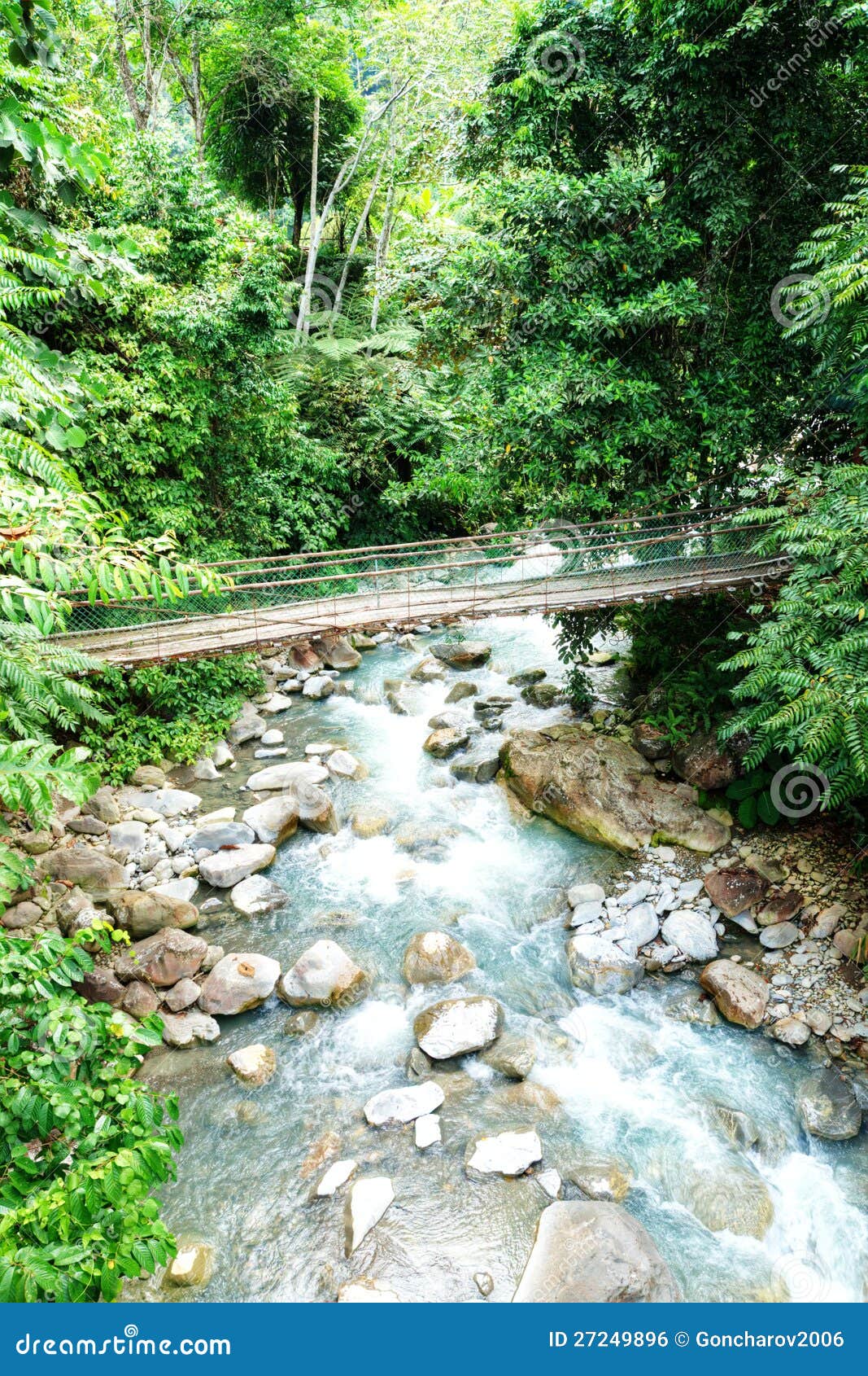 A River and a Bridge in Rainforest Stock Photo - Image of forest, asia ...
