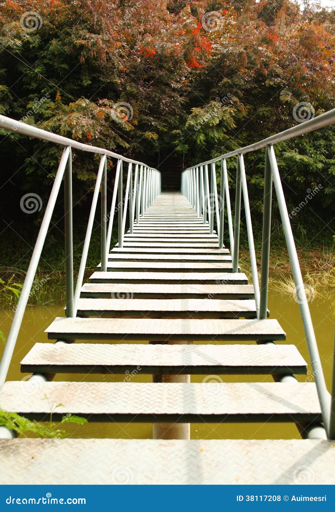 River Bridge stock photo. Image of nature, landscape - 38117208