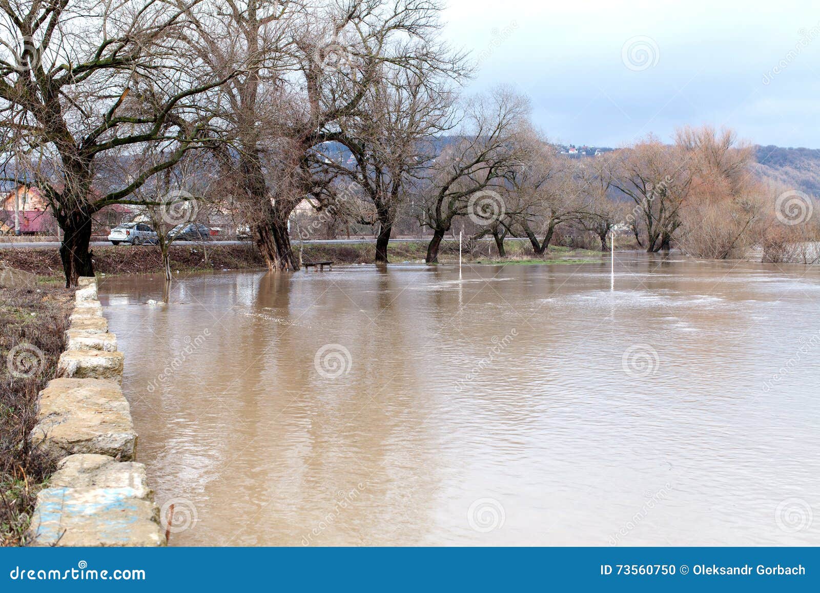 River burst its banks stock photo. Image of rain, debris - 73560750