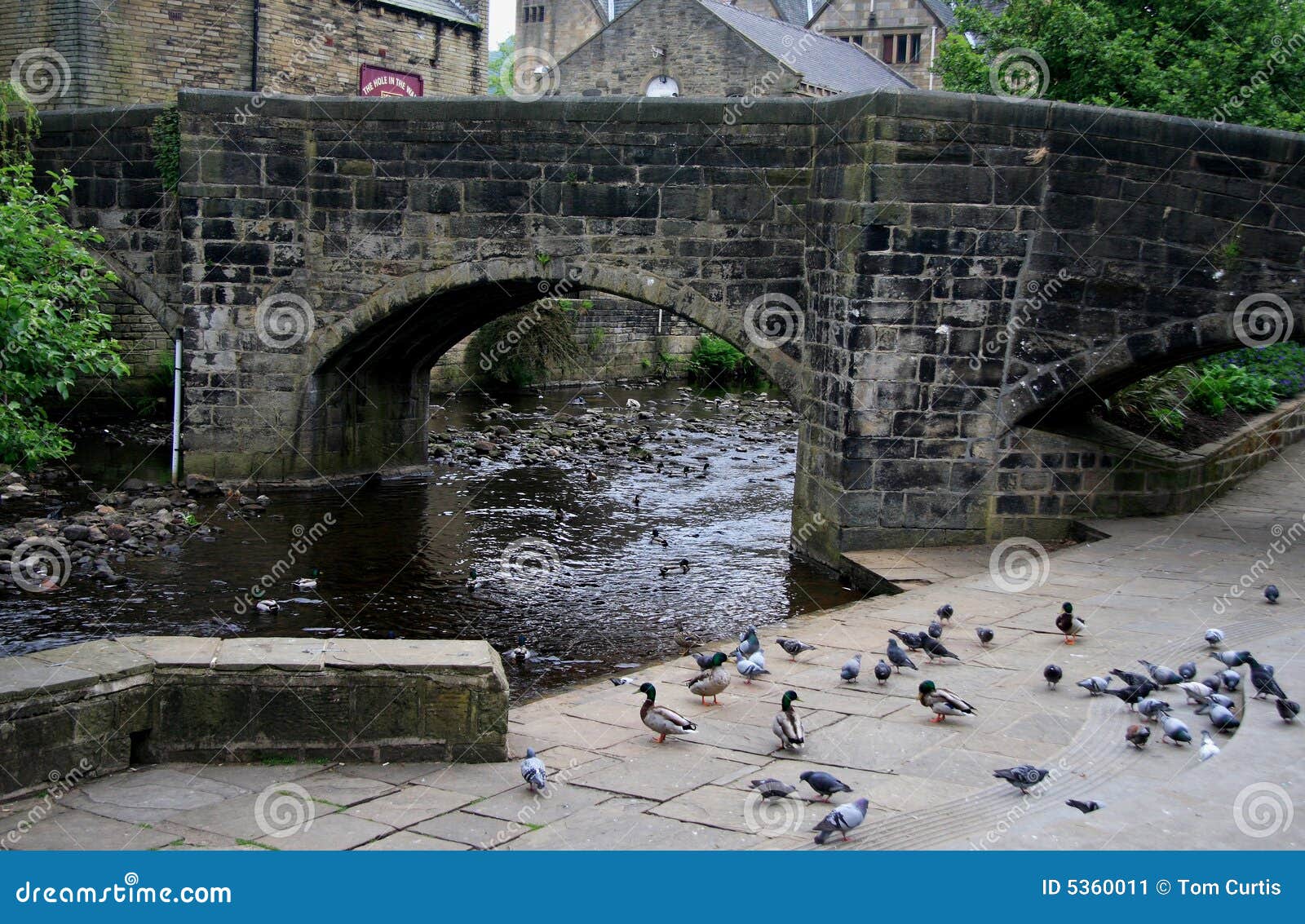 River Calder at Hebden Bridge Stock Image - Image of industrial, ducks ...