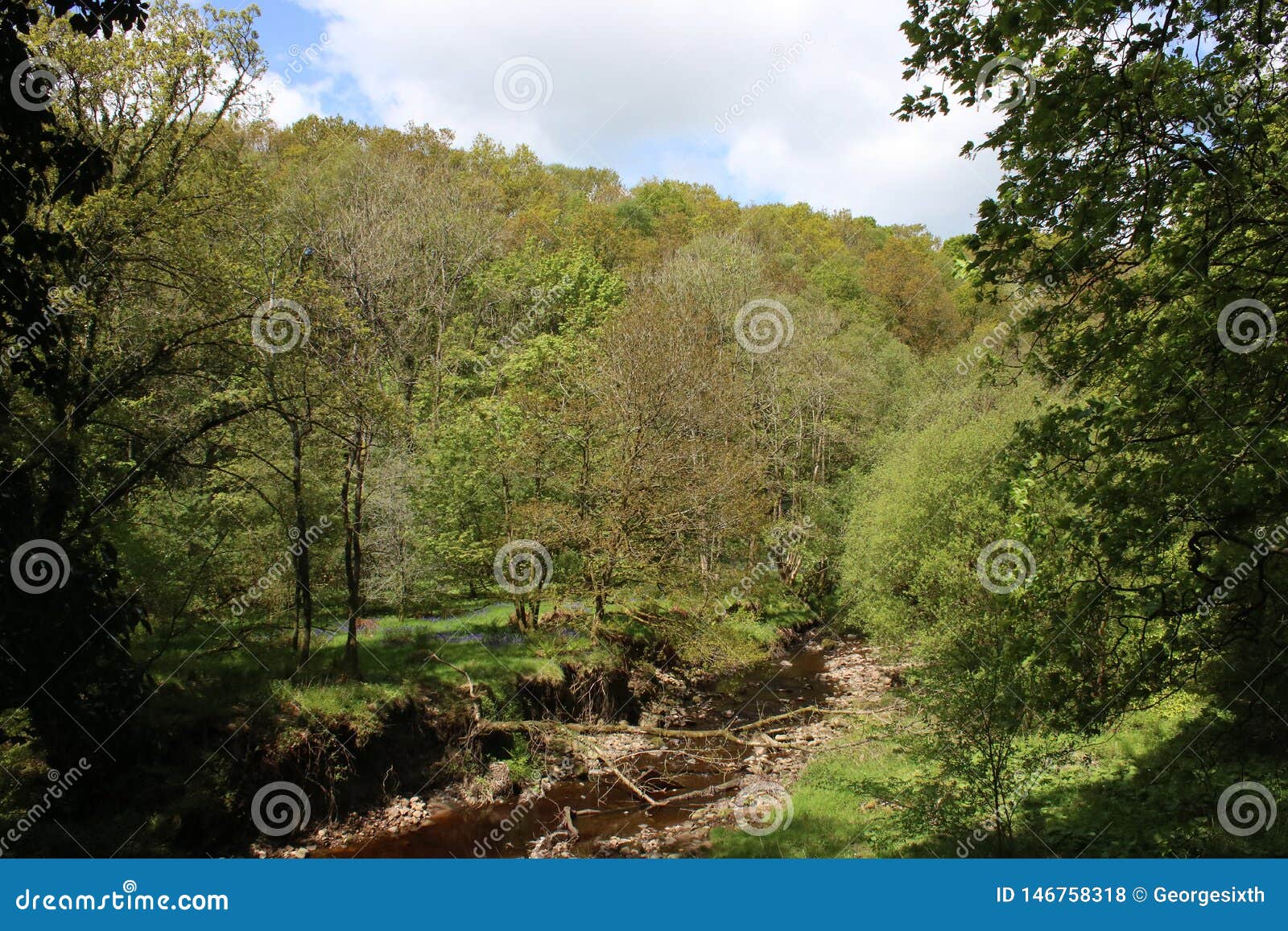 River Calder in Woodland, Calder Vale, Lancashire Stock Photo - Image ...