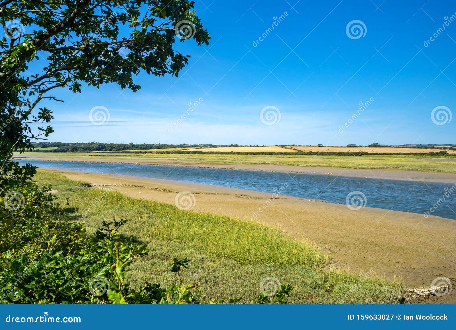 River Camel from the Camel Trail Cornwall England UK Stock Image ...