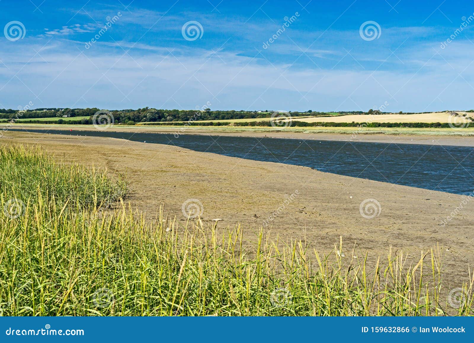 River Camel from the Camel Trail Cornwall England UK Stock Photo ...