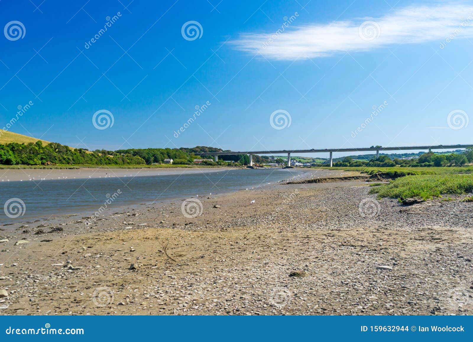River Camel from the Camel Trail Cornwall England UK Stock Photo ...