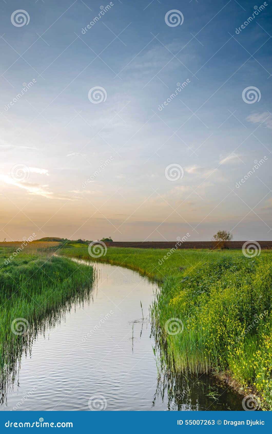 River Canal Running through Meadow Stock Image - Image of peace, beauty ...