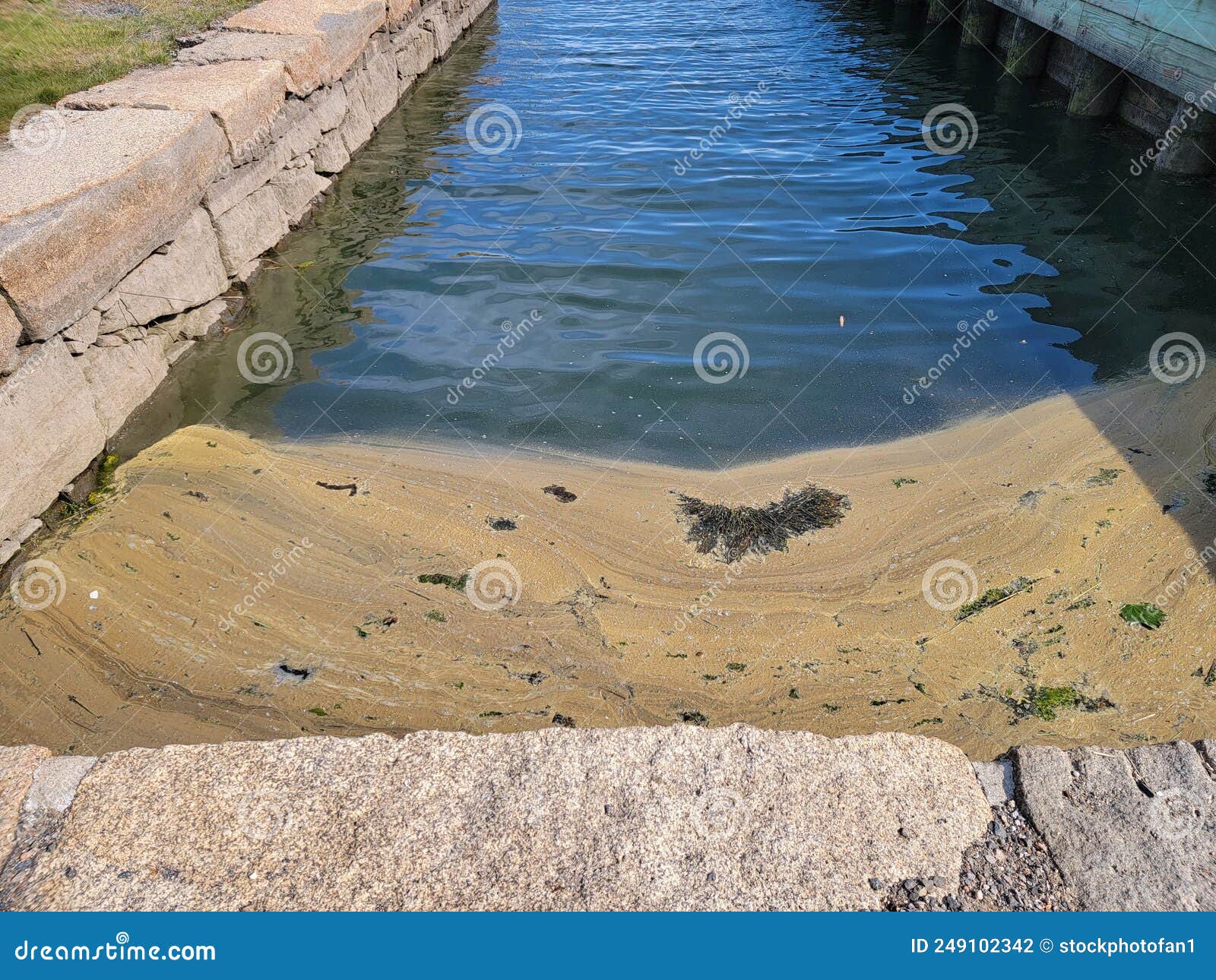 River or Canal with Stones and Pollen Floating on the Water Stock Photo ...