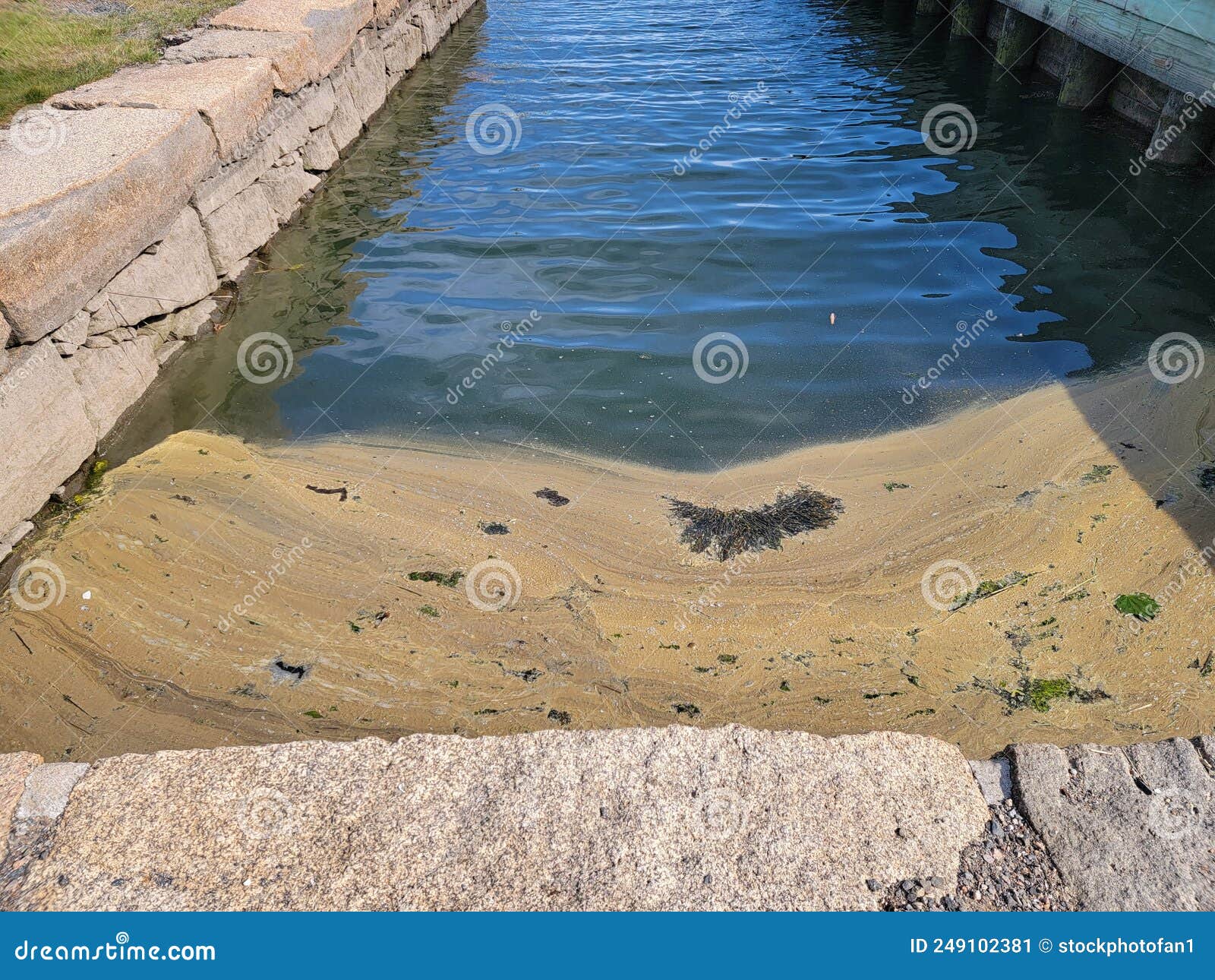 River or Canal with Stones and Pollen Floating on the Water Stock Image ...