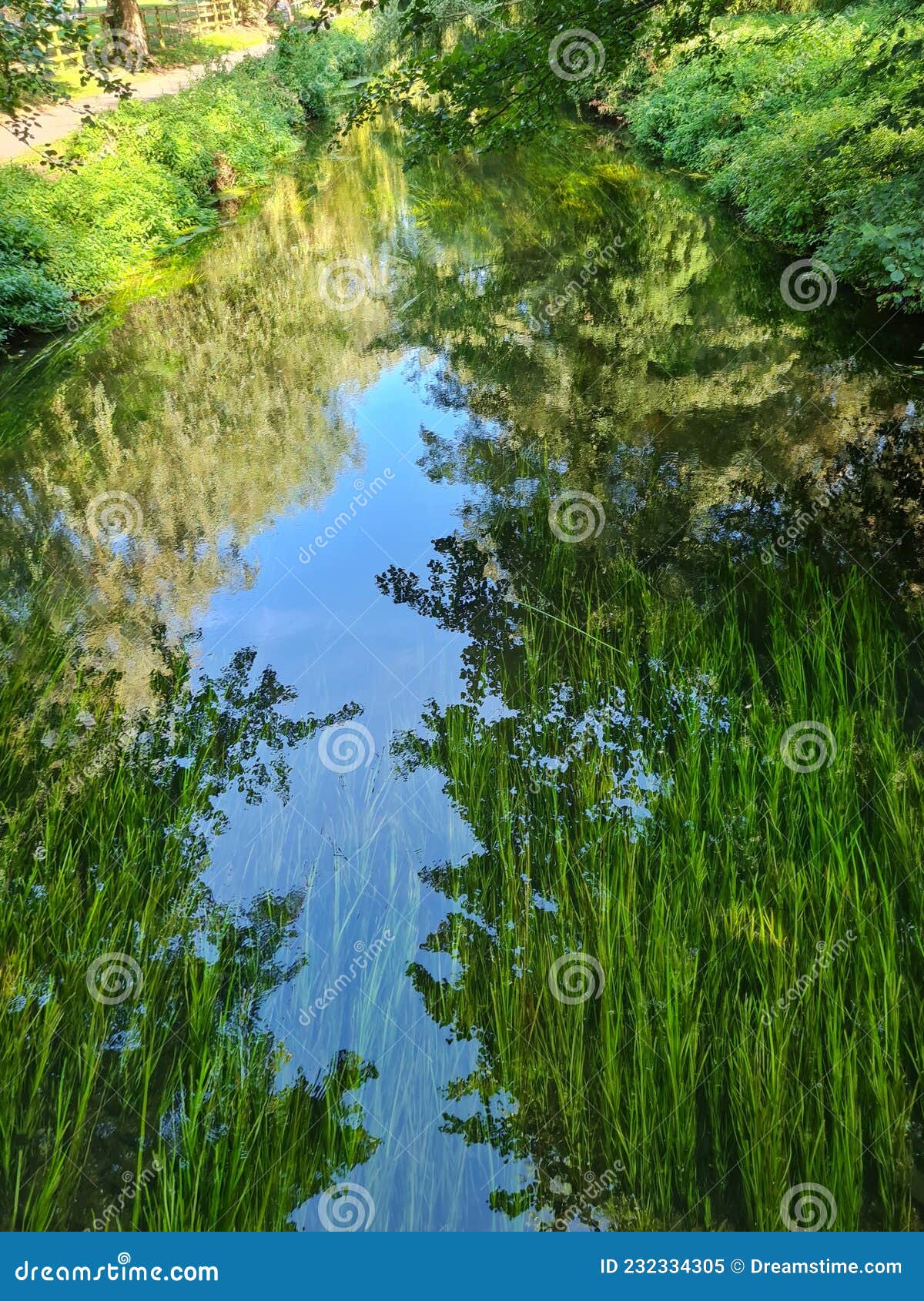 River in Canterbury stock image. Image of autumn, reflection - 232334305