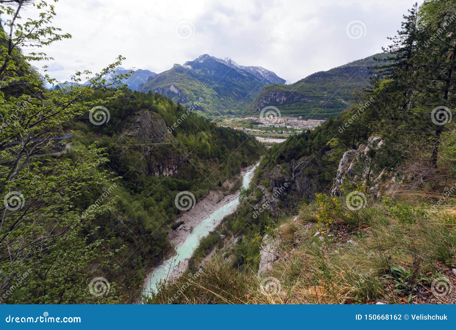 The River in the Canyon in Area of Villanova. Belluno Stock Photo ...