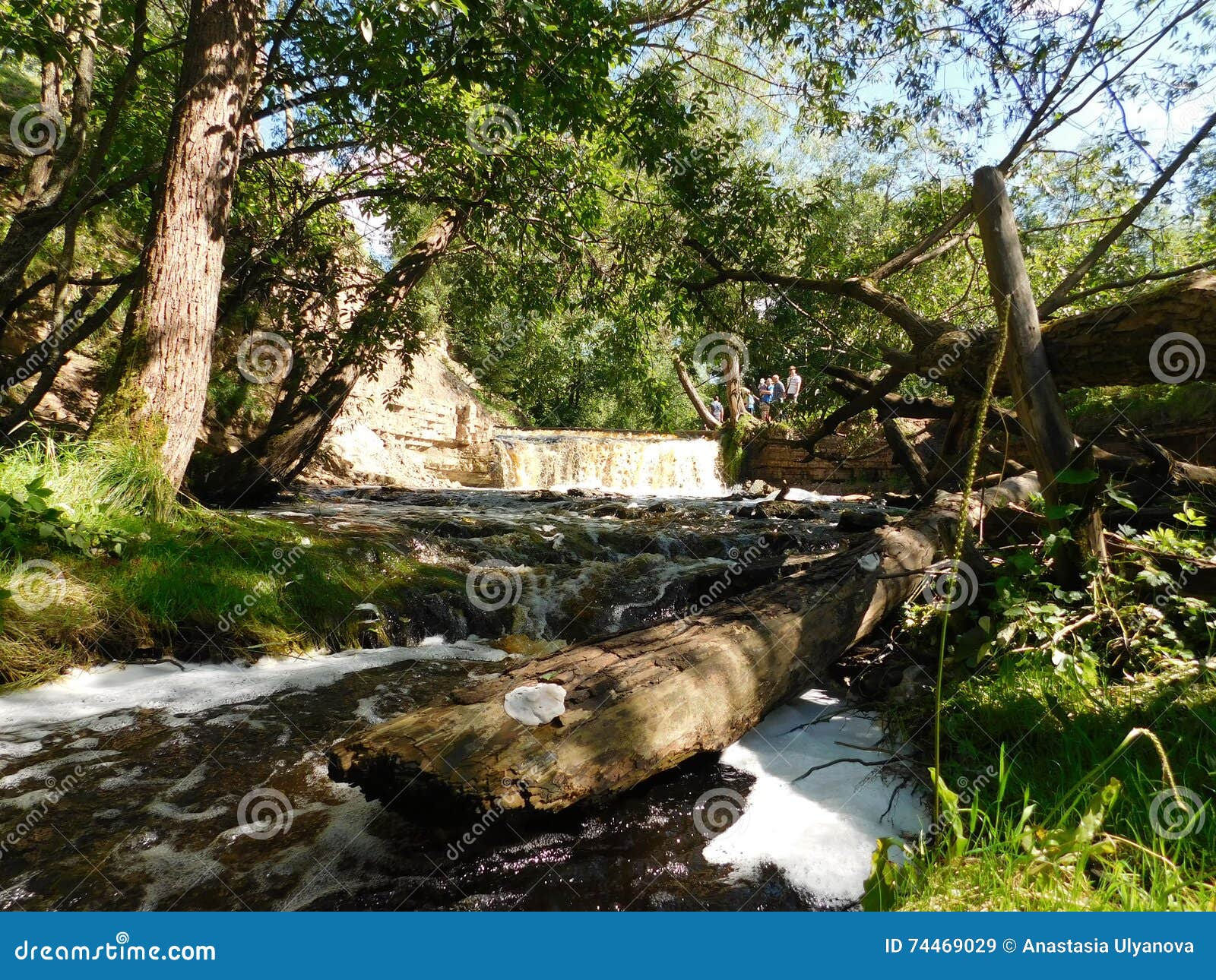 River canyon Sablino stock image. Image of tourism, rural - 74469029