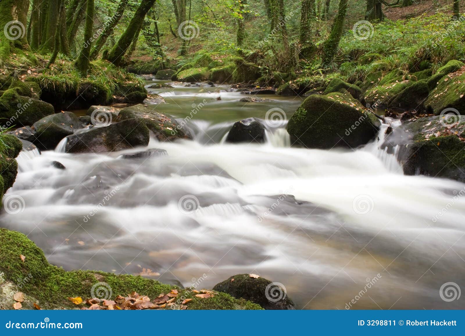 River cascade stock image. Image of cascading, waterfall - 3298811