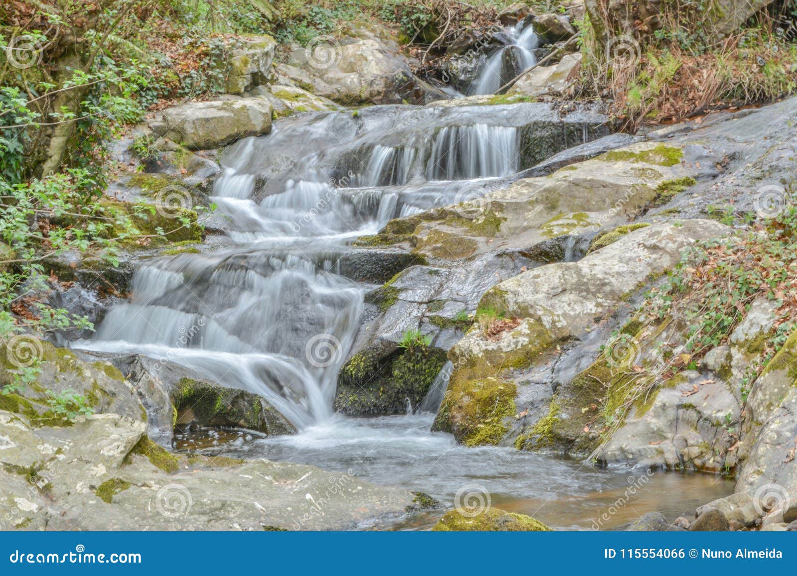 River Cascade on Forest in Mountain Stock Photo - Image of green, color ...