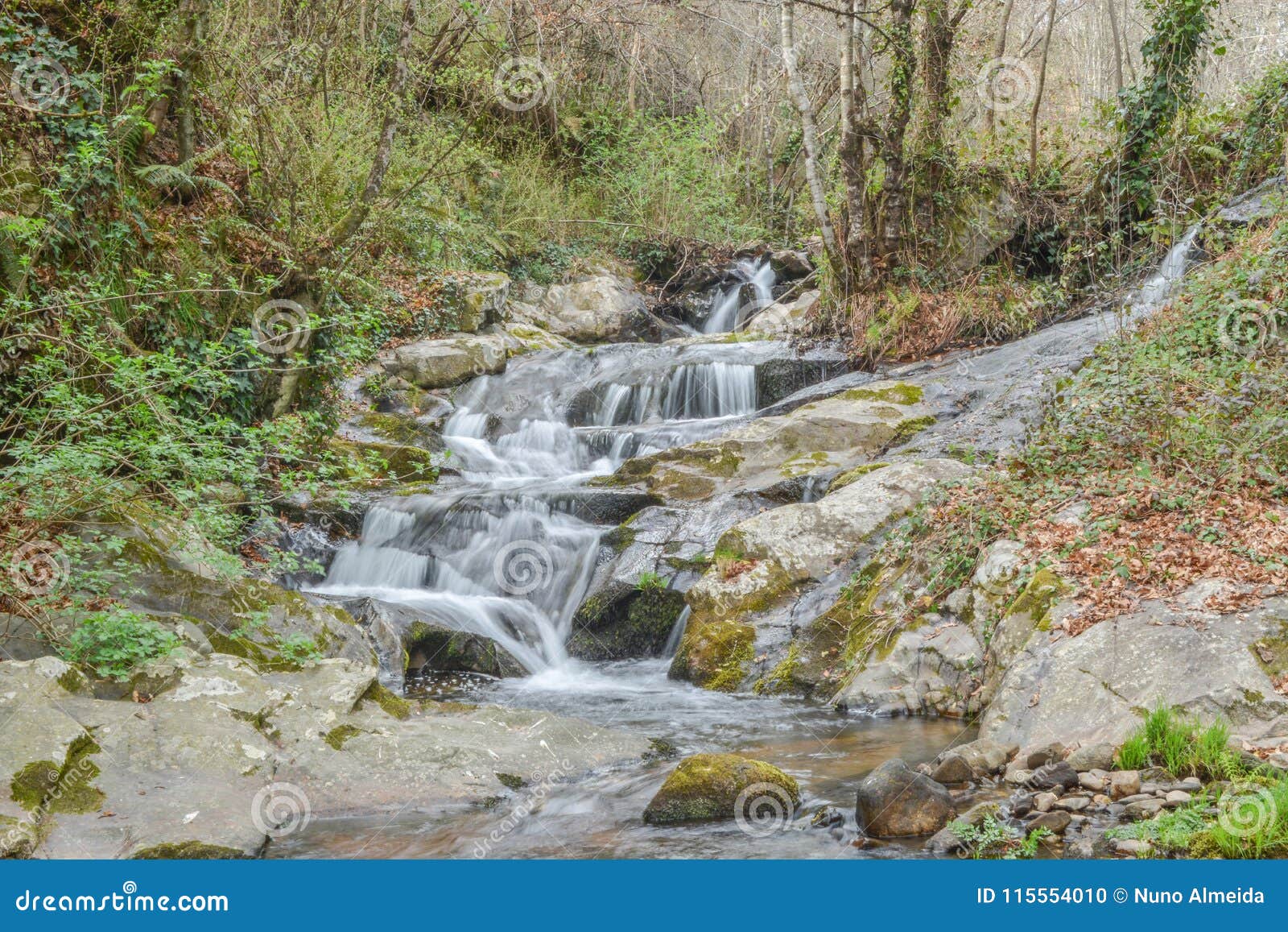 River Cascade on Forest in Mountain Stock Photo - Image of leaf ...