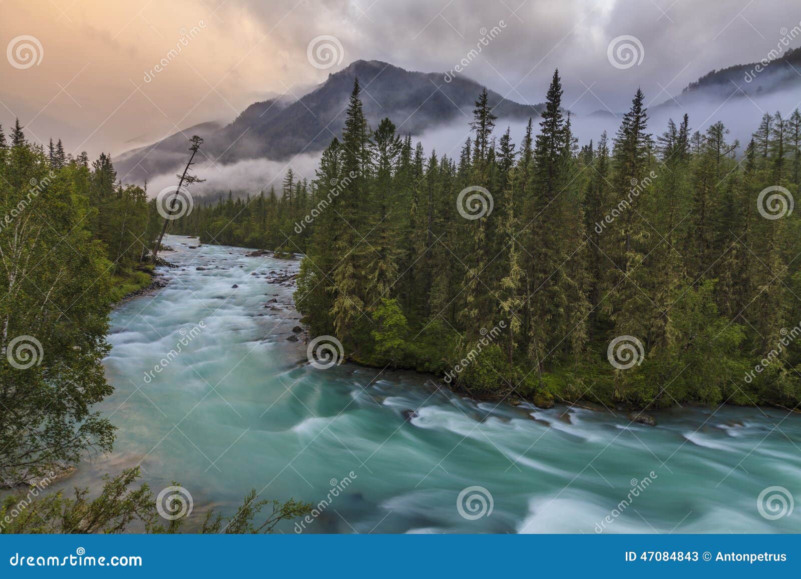 River with Cascades on the Background of the Mountains Stock Image ...
