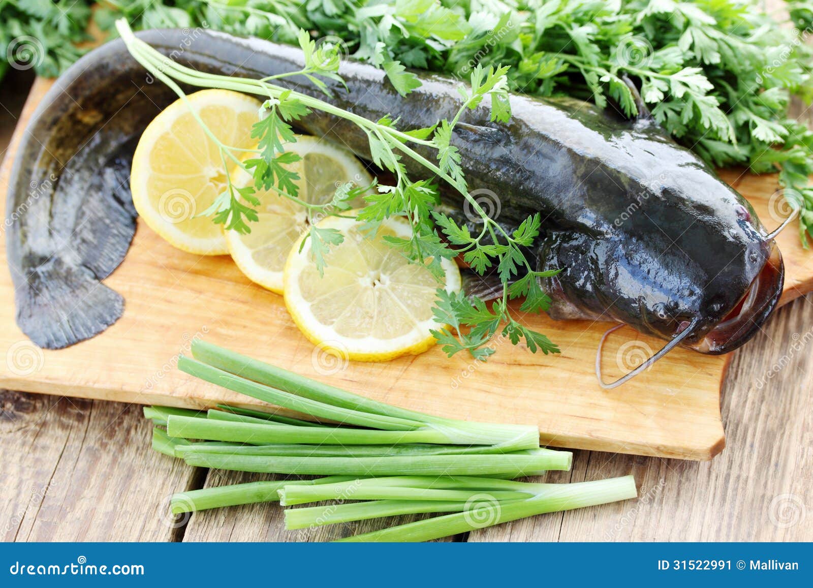 River Catfish. Alive Fresh Fish Isolated On Natural Green Background ...