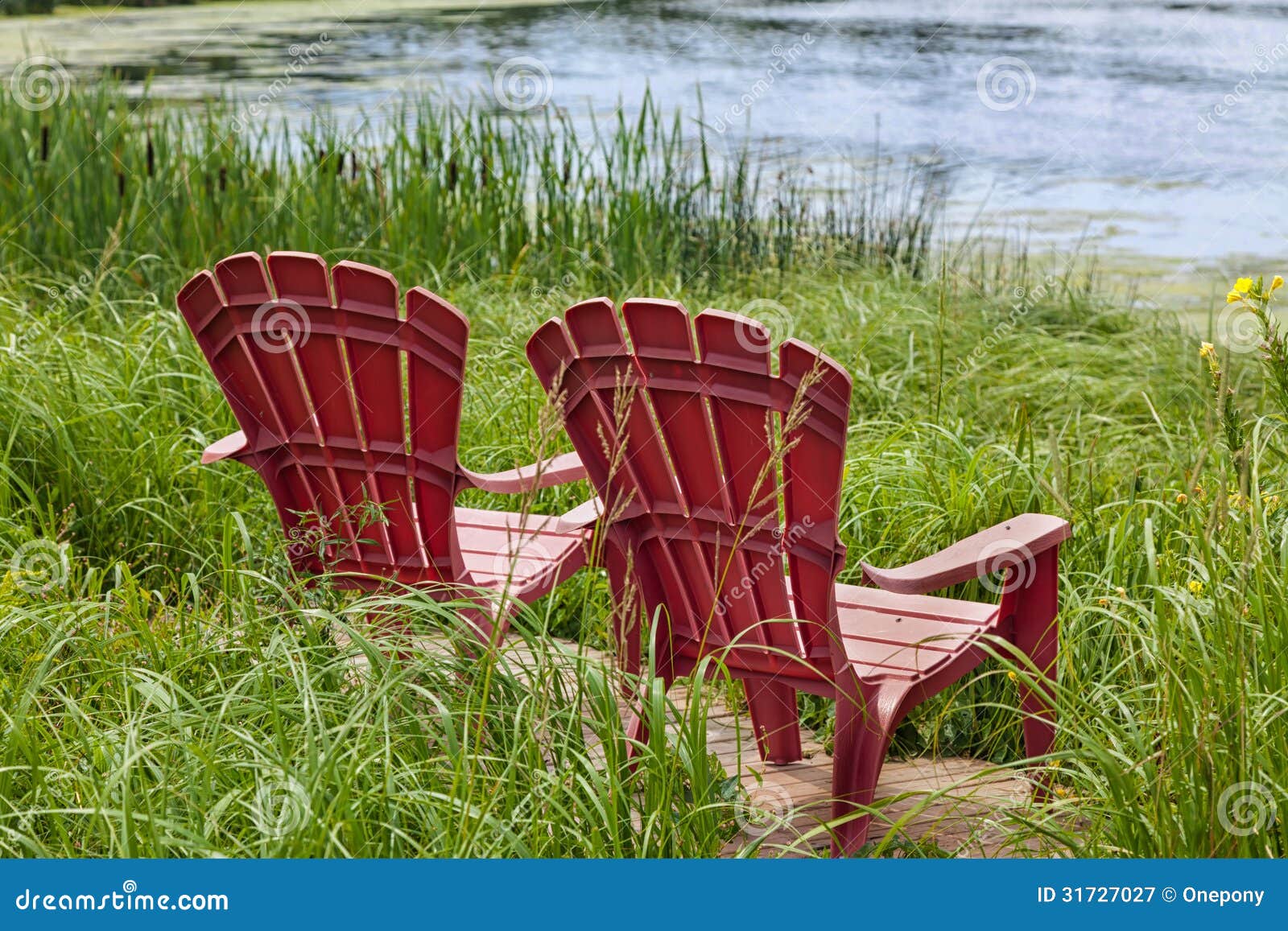 River Chairs stock image. Image of growth, water, bullrushes - 31727027