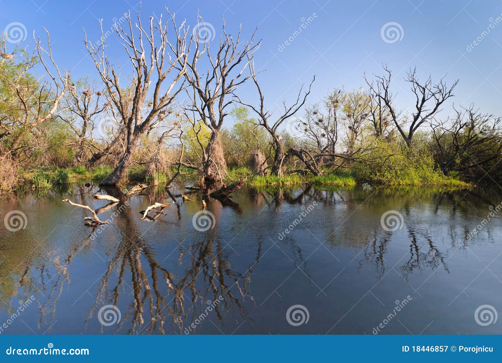 River channel stock image. Image of green, beautiful - 18446857