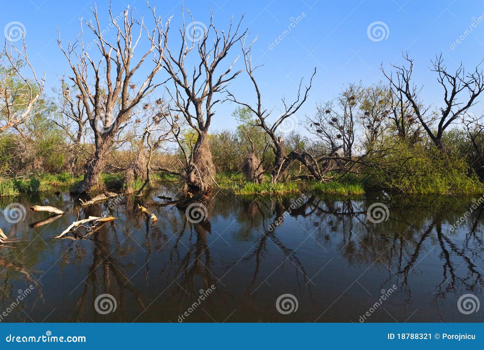 River channel stock image. Image of danube, irrigate - 18788321