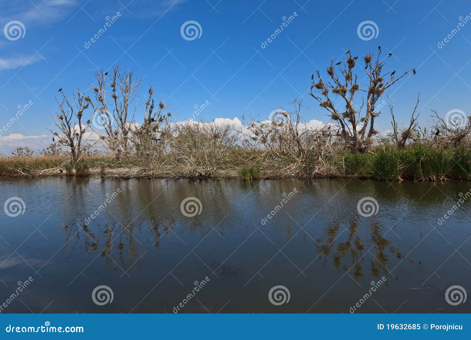 River channel stock image. Image of channel, beautiful - 19632685
