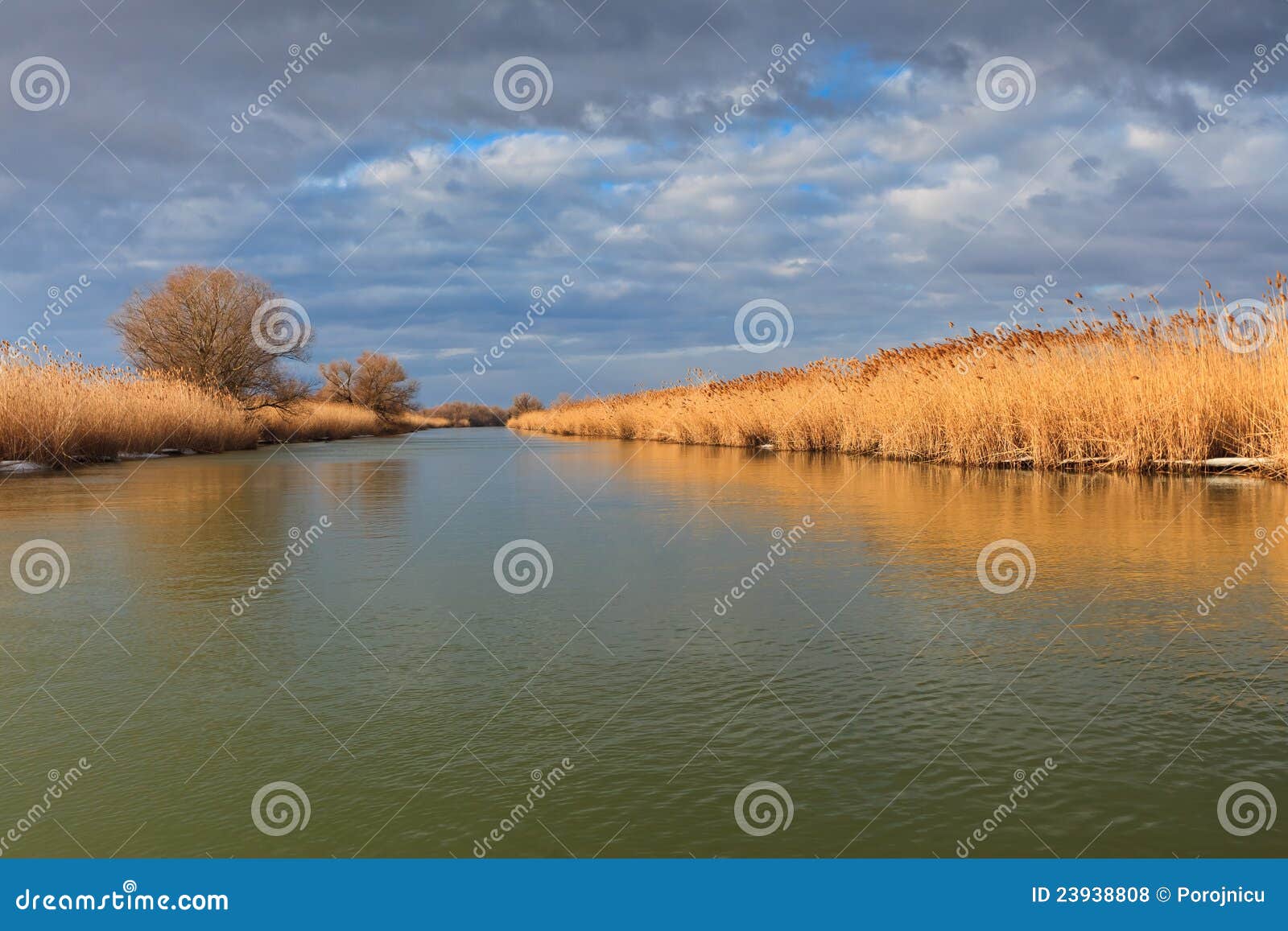 River channel stock photo. Image of romania, reservation - 23938808